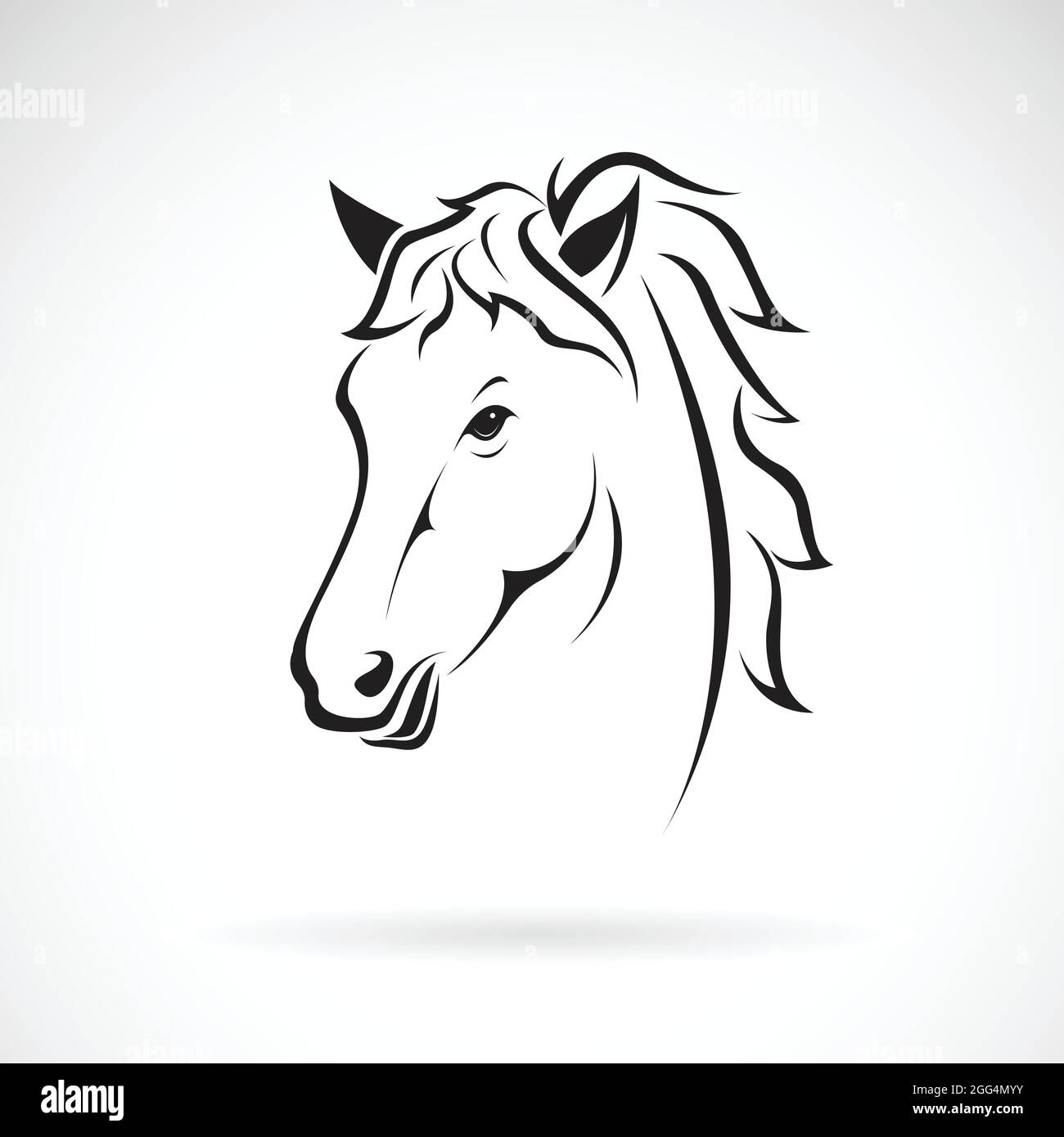 Vecteur De Cheval Vecteurs Libres De Droits Pour Horse Head