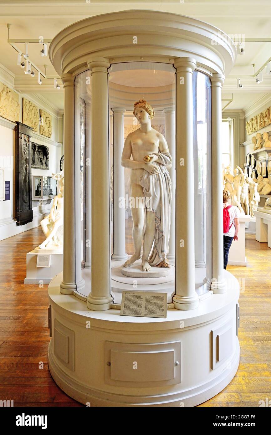 The Walker Art Gallery Liverpool et la salle de sculpture européenne, ici la Vénus teintée de ...