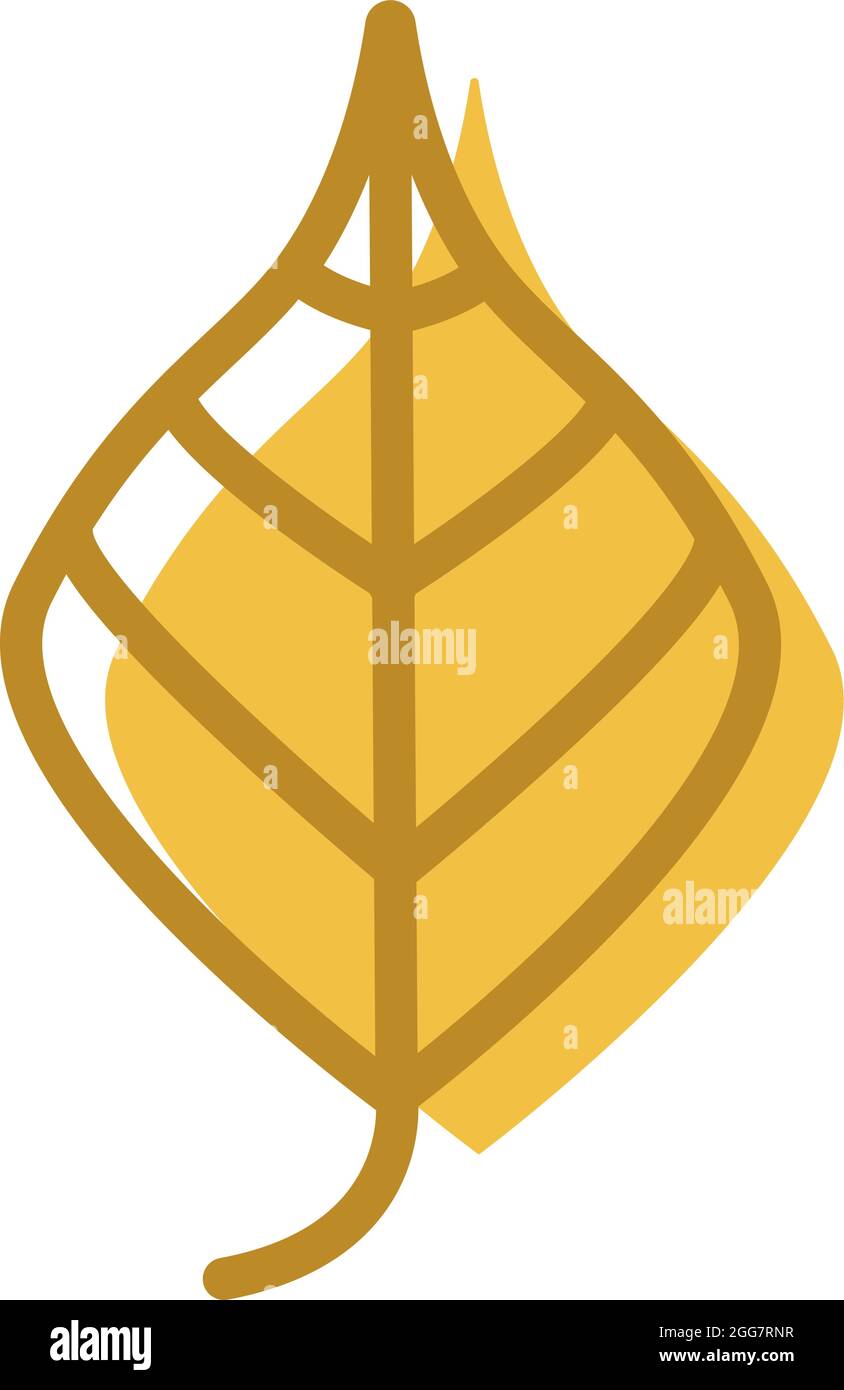 Pointy leaf Banque d'images vectorielles - Alamy