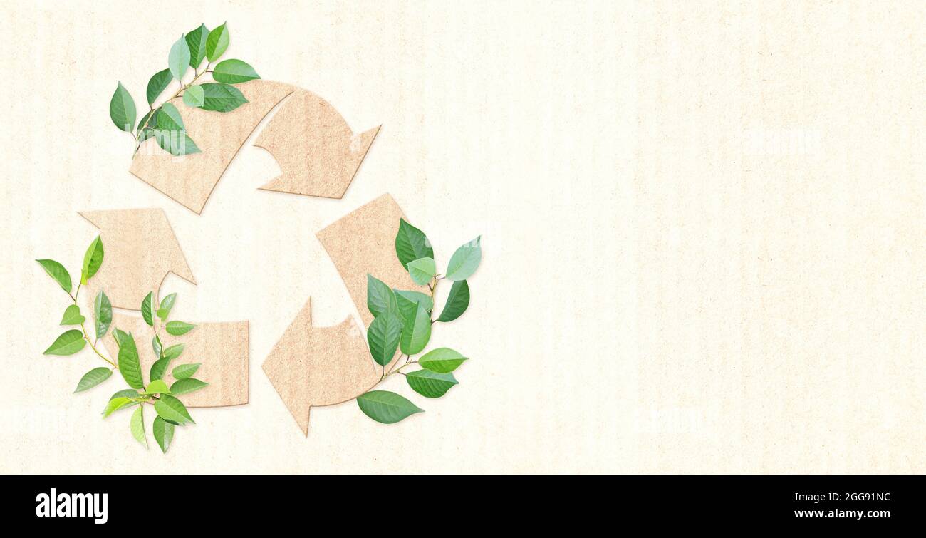 Concept écologique et zéro déchet. Les flèches recyclent le symbole et ...