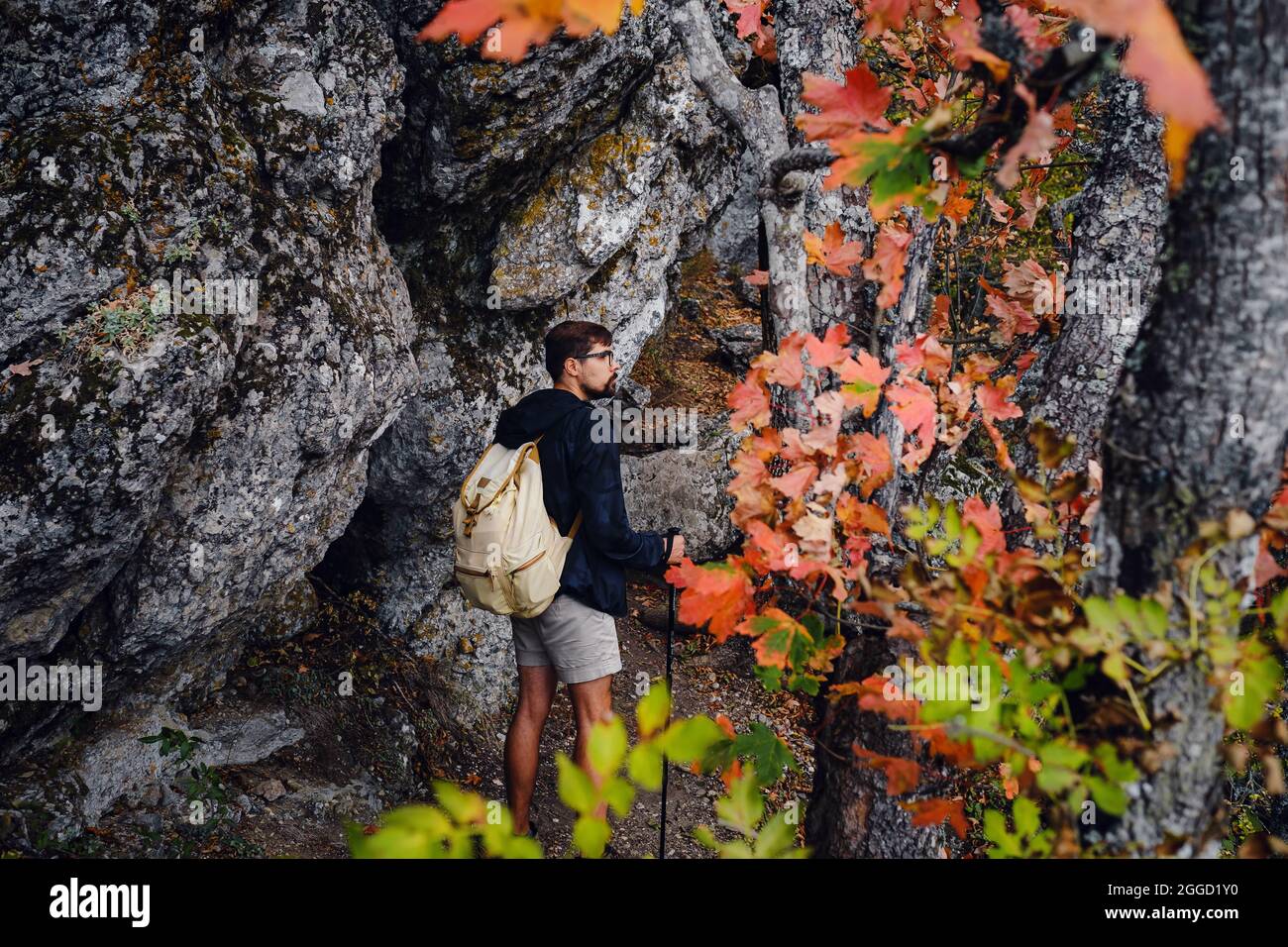 Homme solitaire marchant dans une forêt. Saison d'automne. Randonnée ...