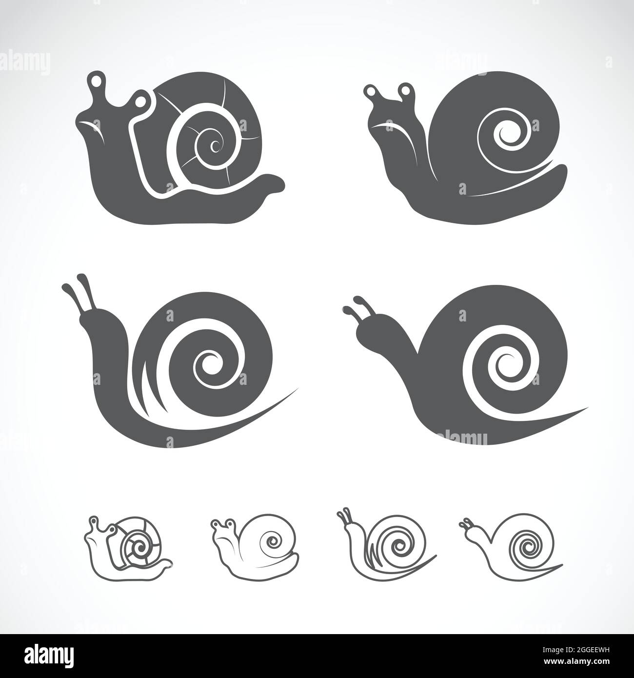 Groupe vectoriel d'un escargot sur fond blanc. Illustration vectorielle ...