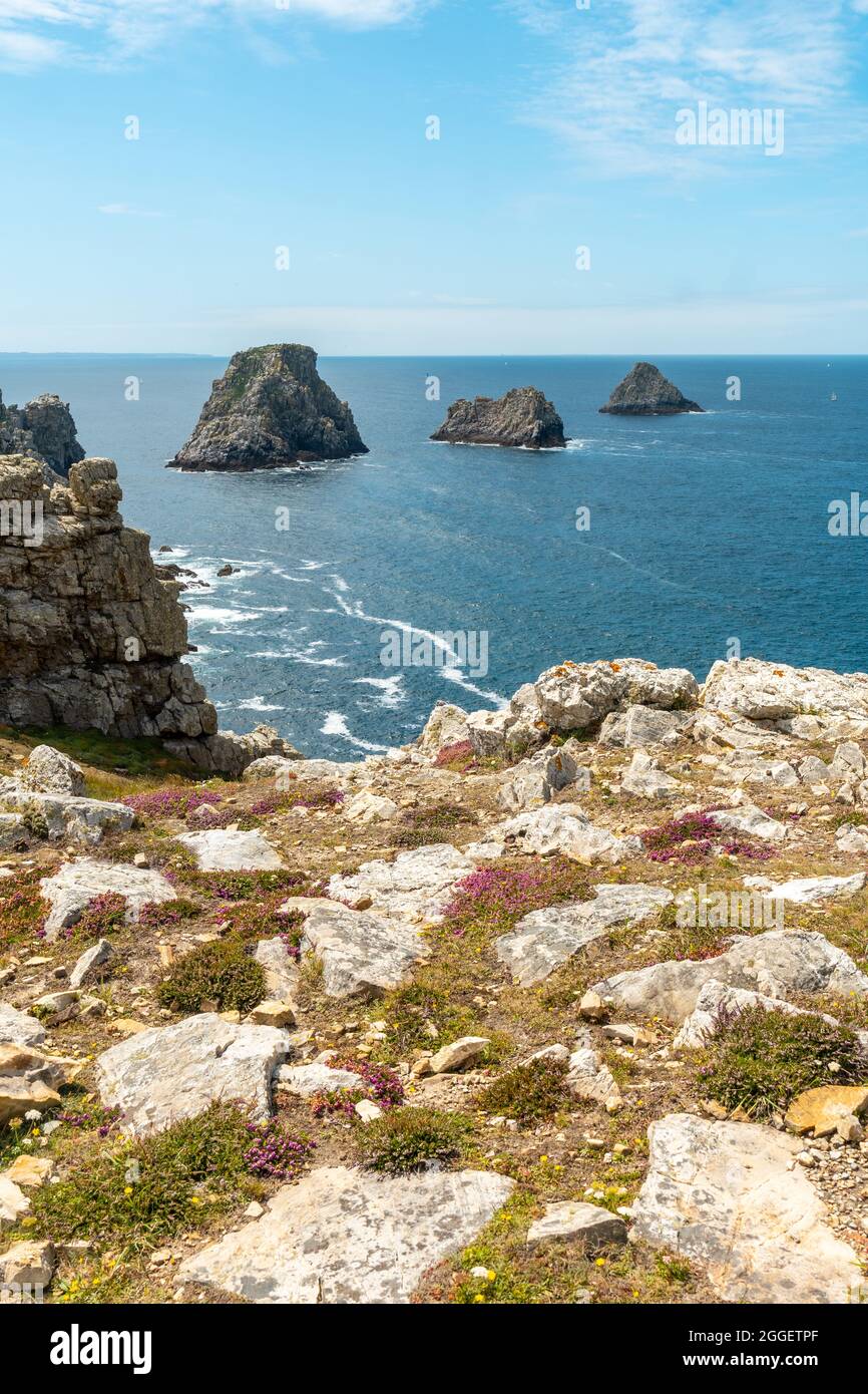 Plan vertical du littoral du Pen Hir point sur la péninsule de Crozon ...