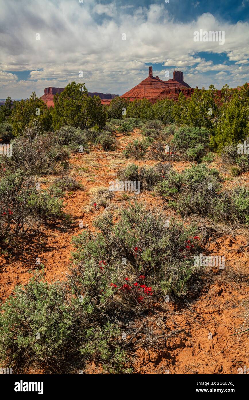 Castleton rock Banque de photographies et d’images à haute résolution ...
