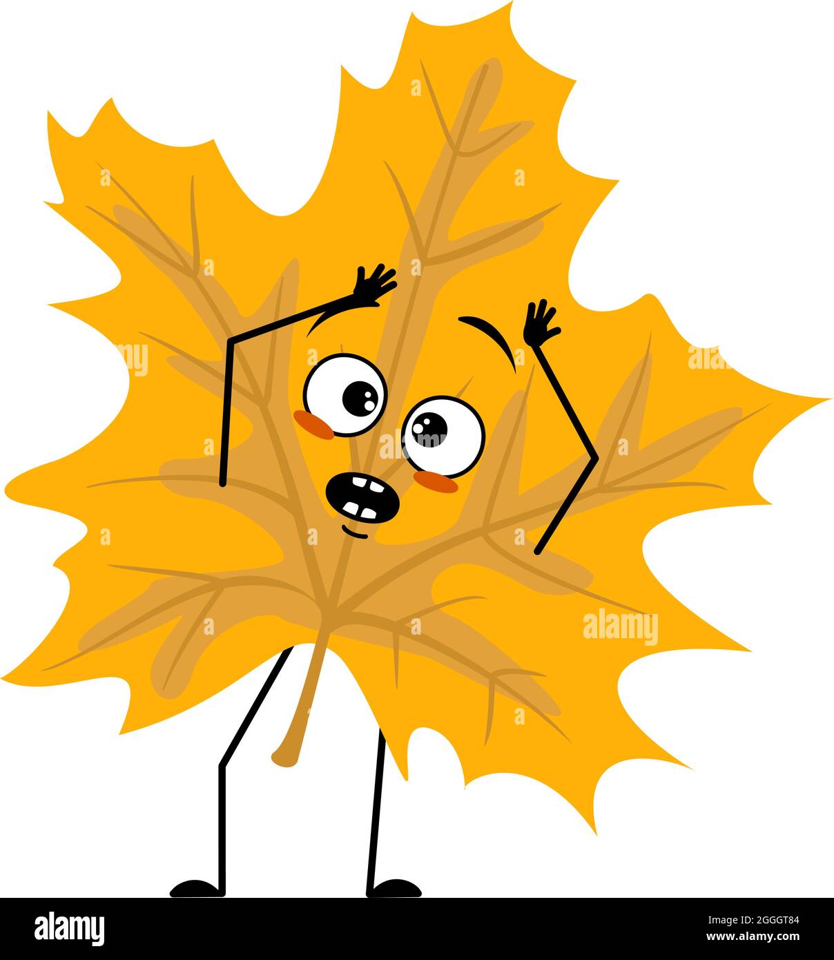 Feuille avec un visage Banque d'images vectorielles - Alamy