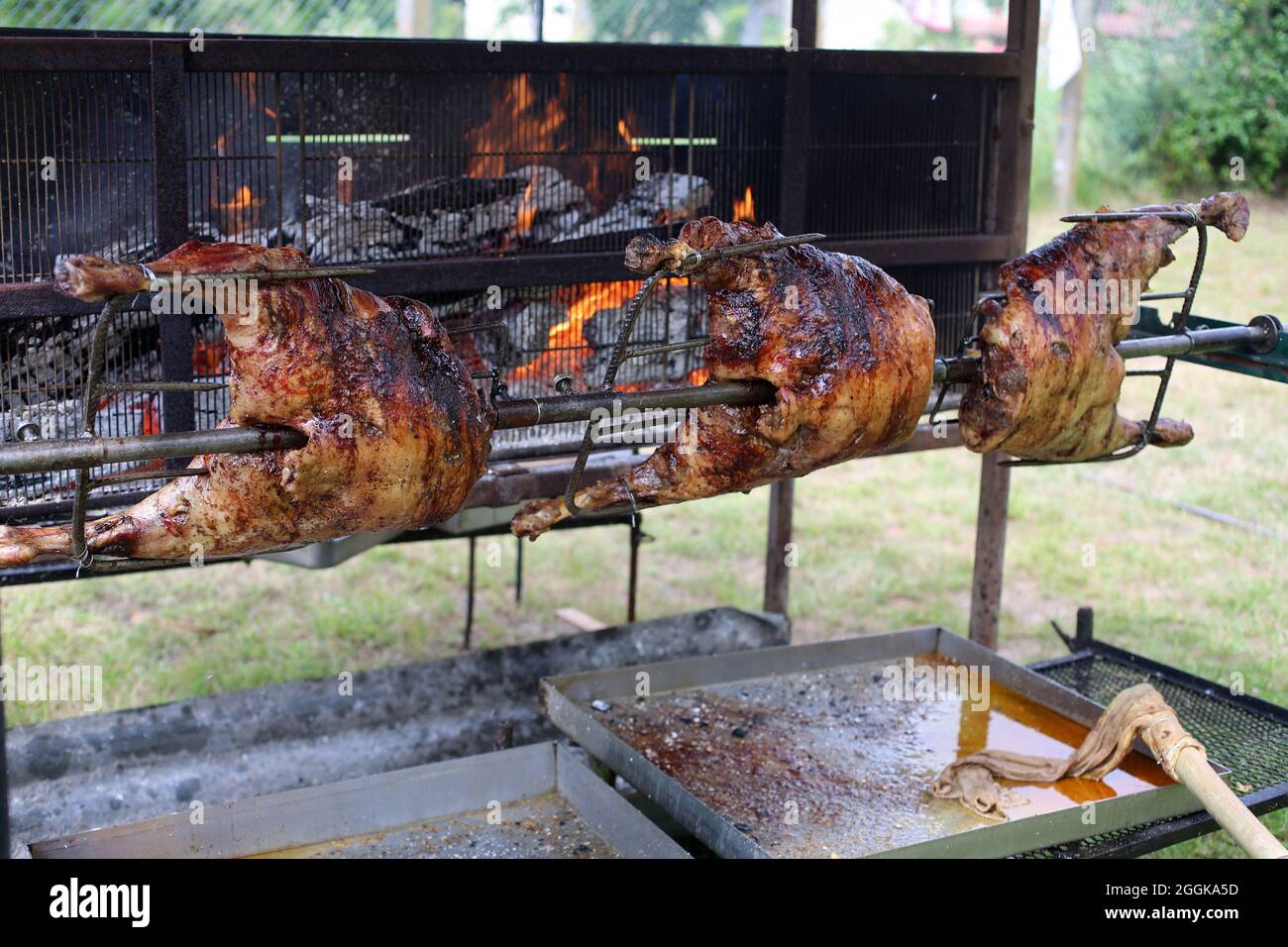 Mechoui à la broche Banque de photographies et d’images à haute ...