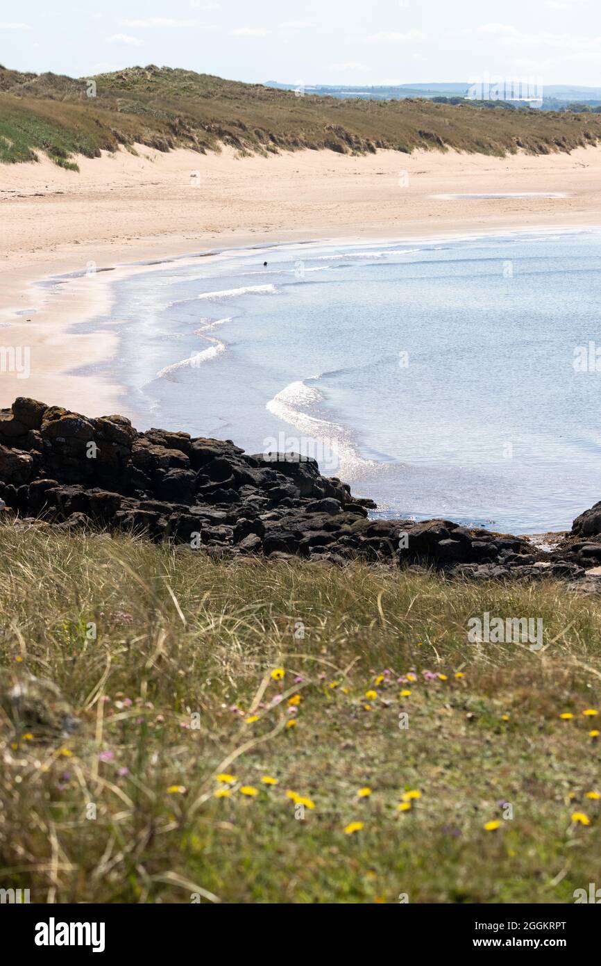 Gullane bay Banque de photographies et d’images à haute résolution - Alamy