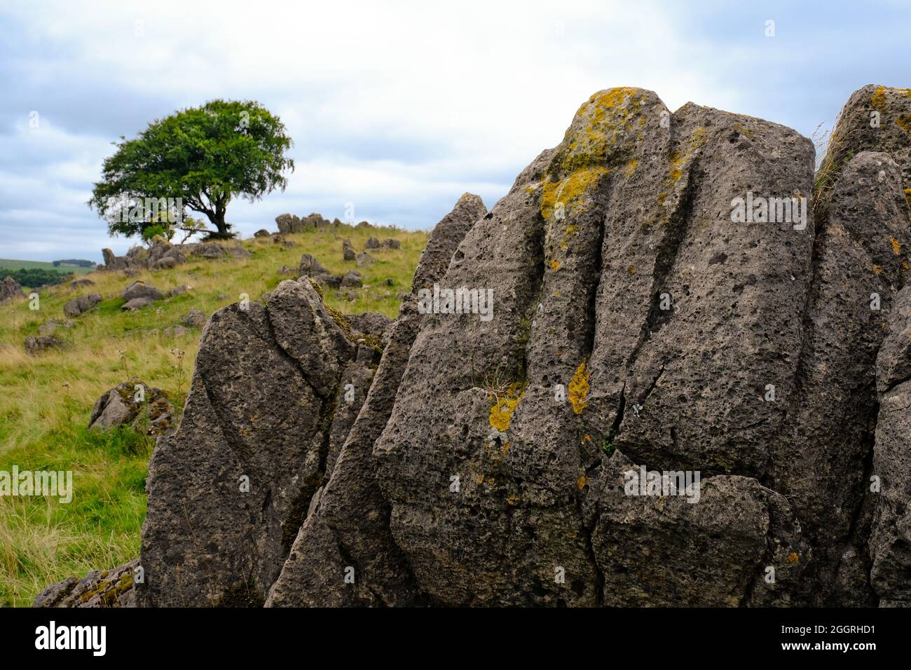 Roystone rocks derbyshire Banque de photographies et d’images à haute ...