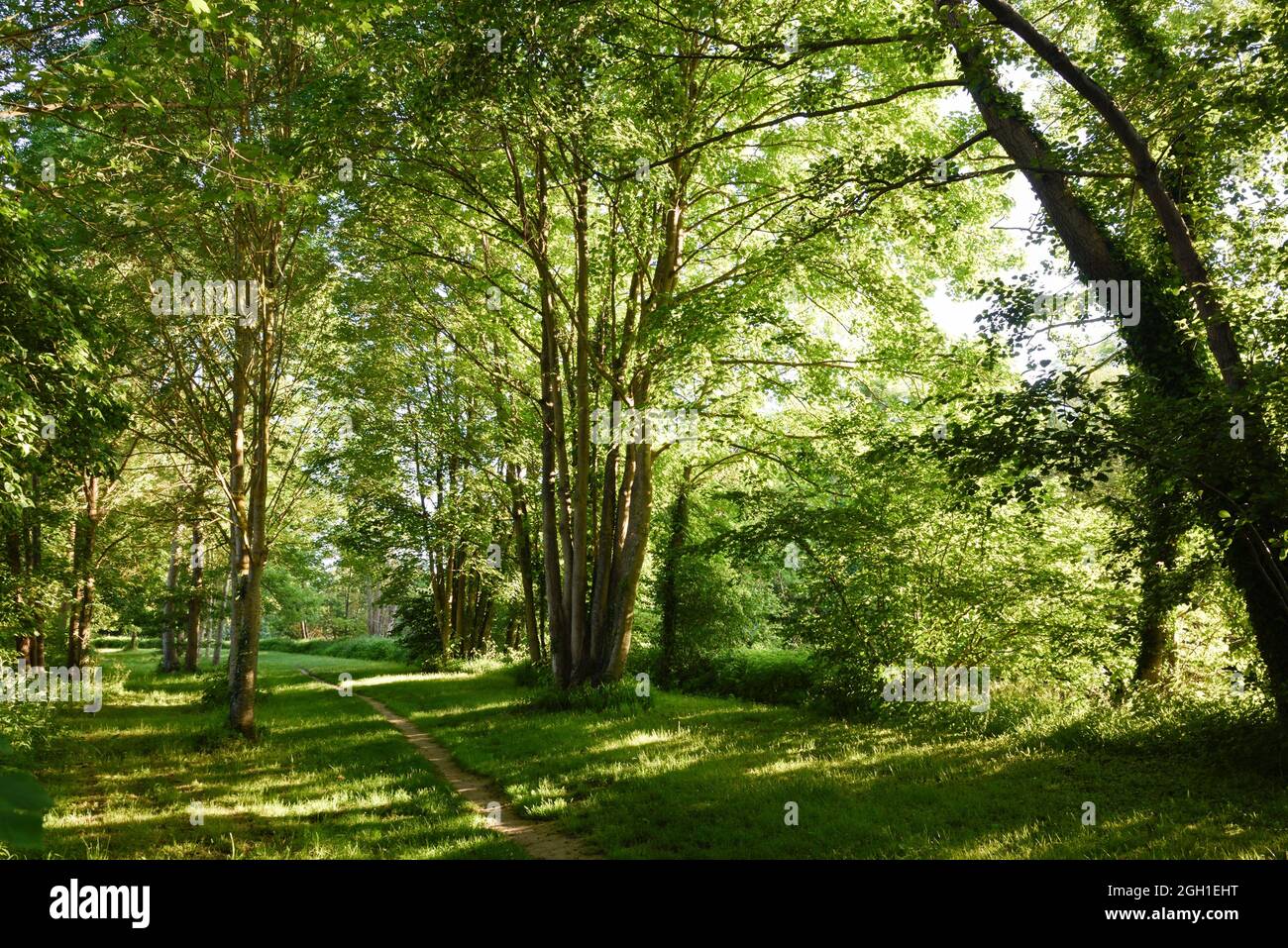 Chemin campagne Banque de photographies et d’images à haute résolution ...