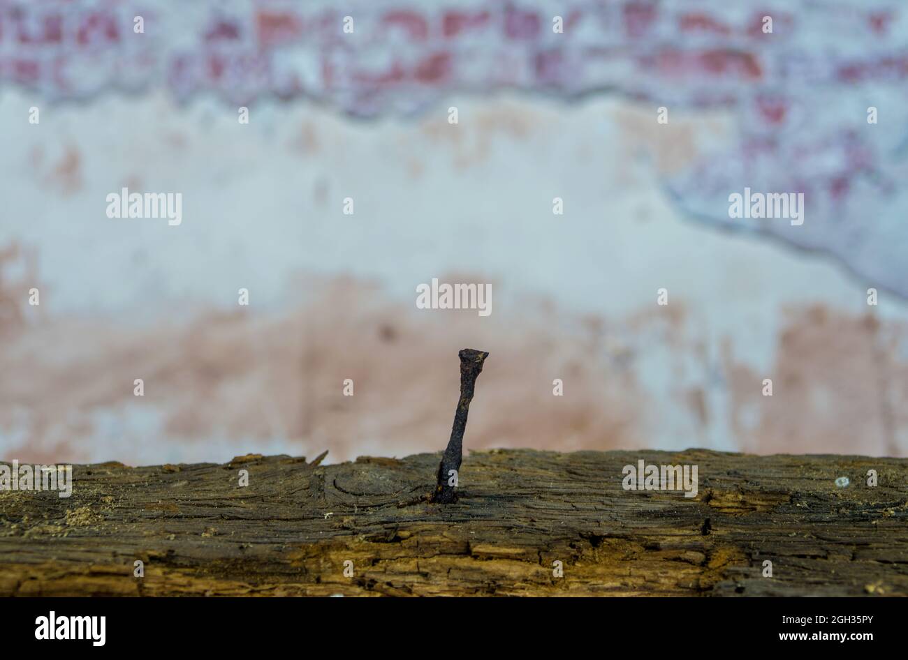 Un clou rouillé coincé dans une poutre en bois pourri devant un vieux ...
