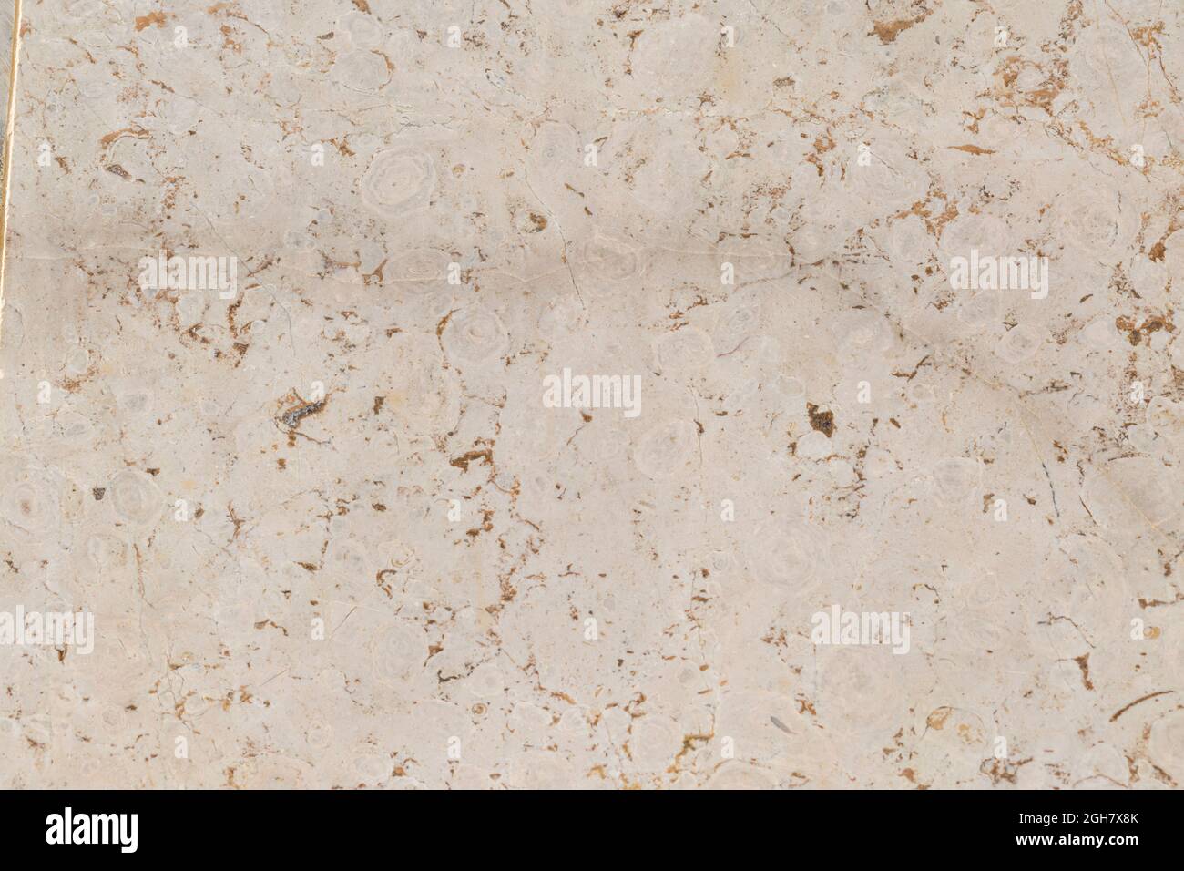 Texture marbre beige Banque de photographies et d’images à haute ...