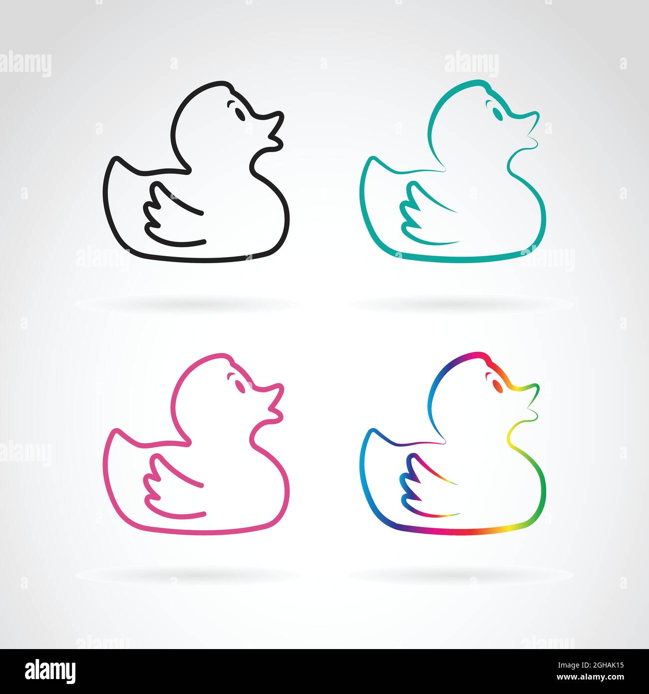 Canetons sauvages Banque d'images vectorielles - Alamy