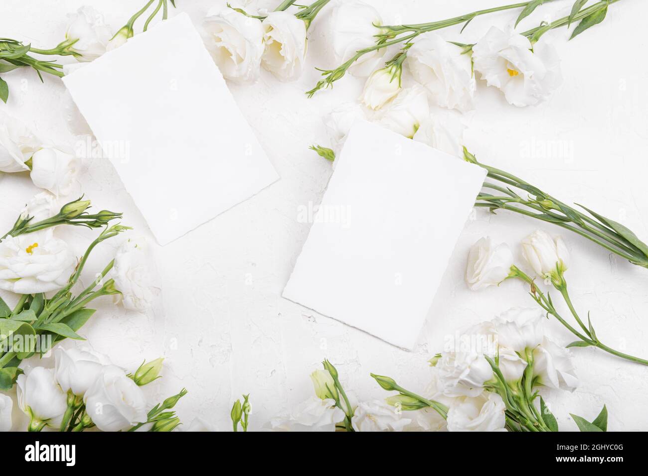 Deux cartes vides 5x3,5 mockup avec fleurs d'eustoma lisianthus blanc ...