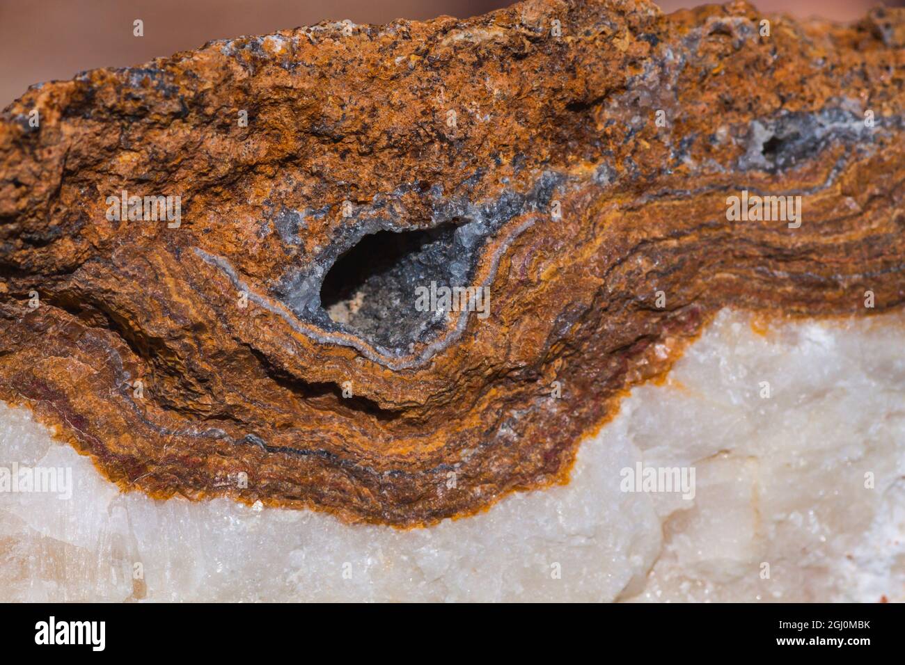 Texture de roche avec veine de quartz Banque de photographies et d ...