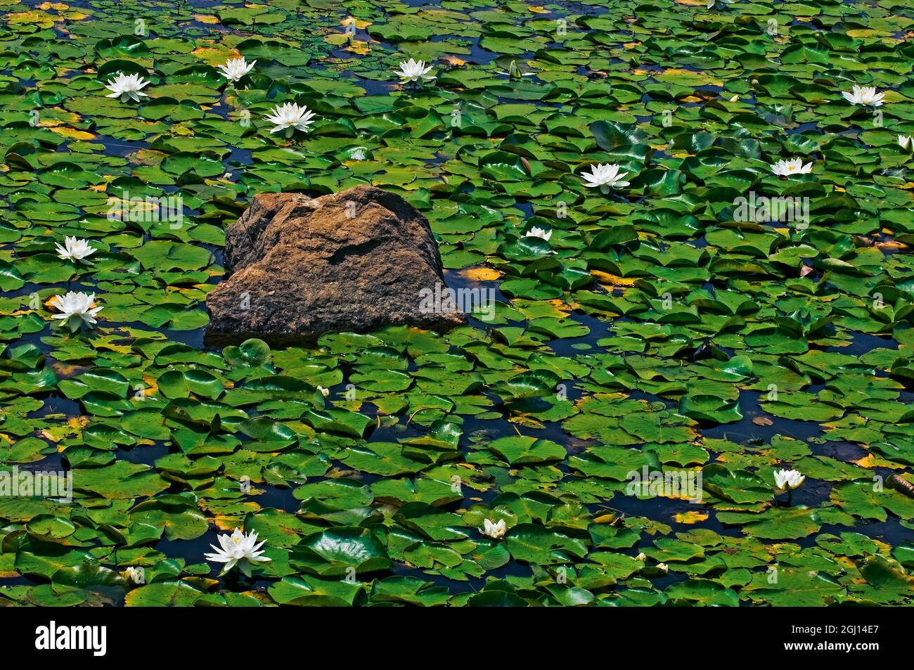 Byng inlet Banque de photographies et d’images à haute résolution - Alamy