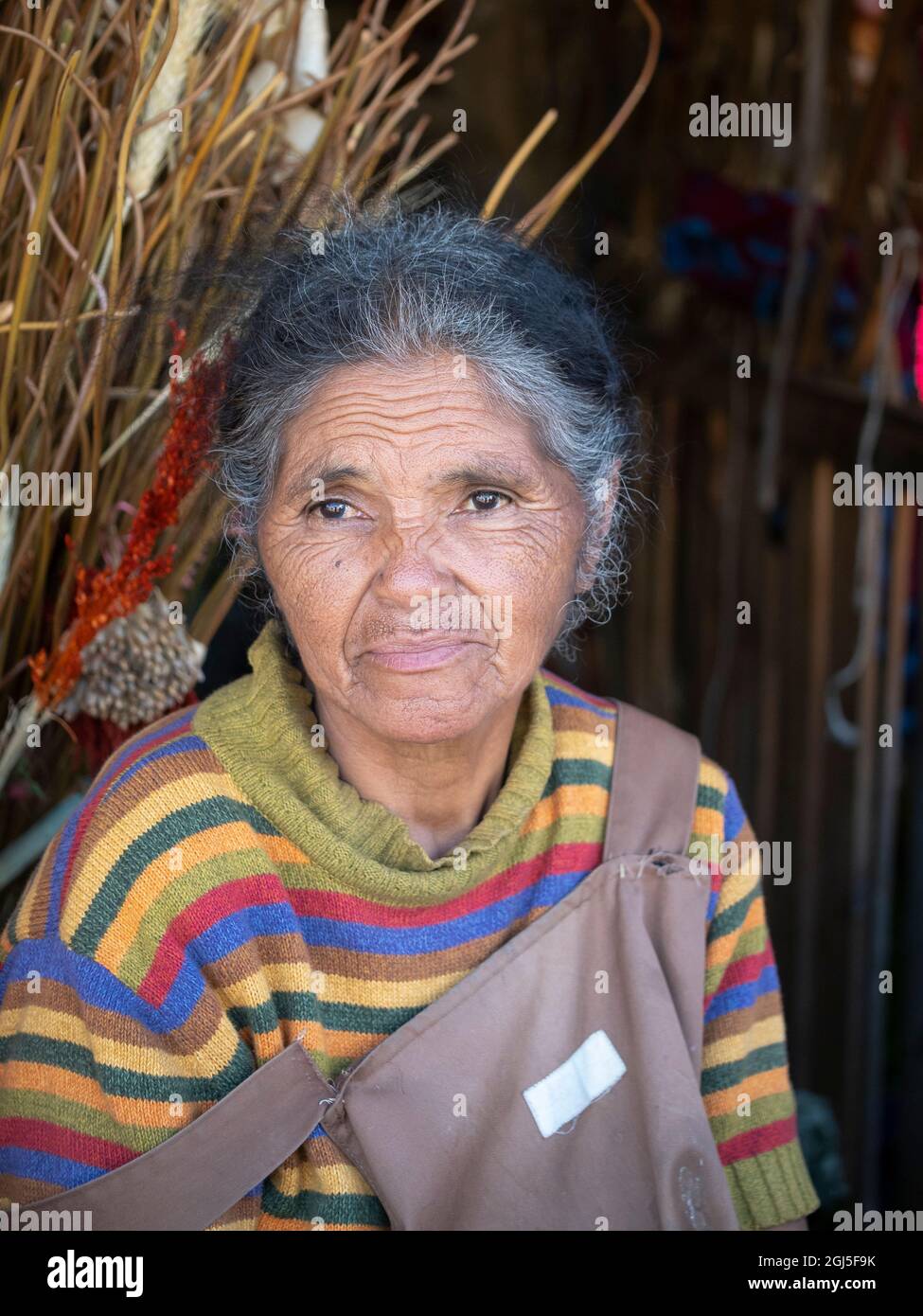 Afrique, Madagascar, province d'Antananarivo. Une femme malgache se ...