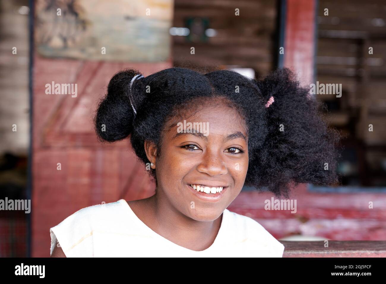 Afrique, Madagascar, près d'Andesite, région d'Alaotra-Mangoro ...