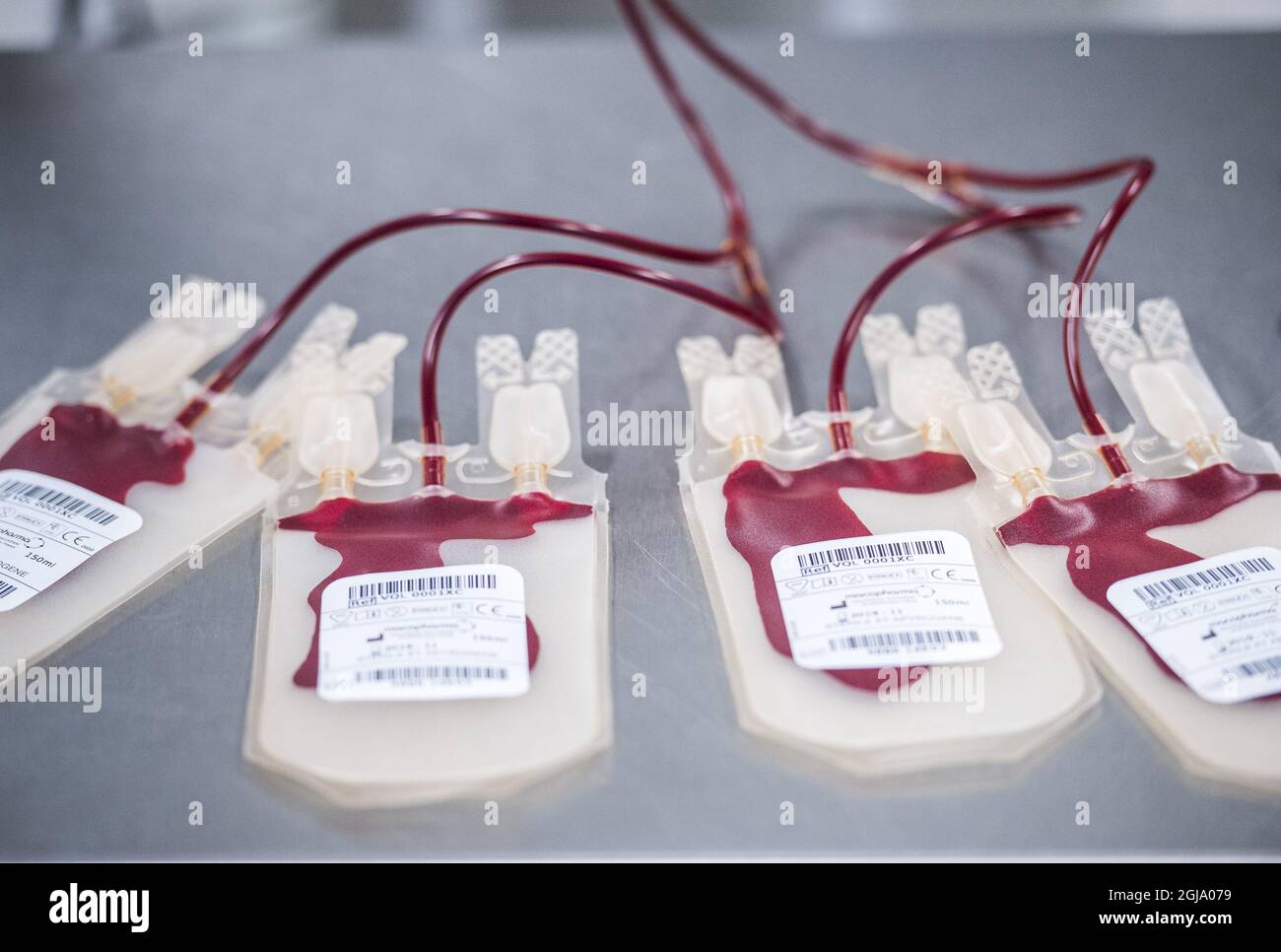STOCKHOLM 20160406 poches de sang pour enfants à la banque de sang de l ...