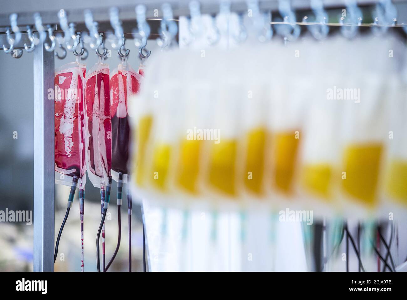 STOCKHOLM 20160406 plasma et poches de sang à la banque de sang de l ...