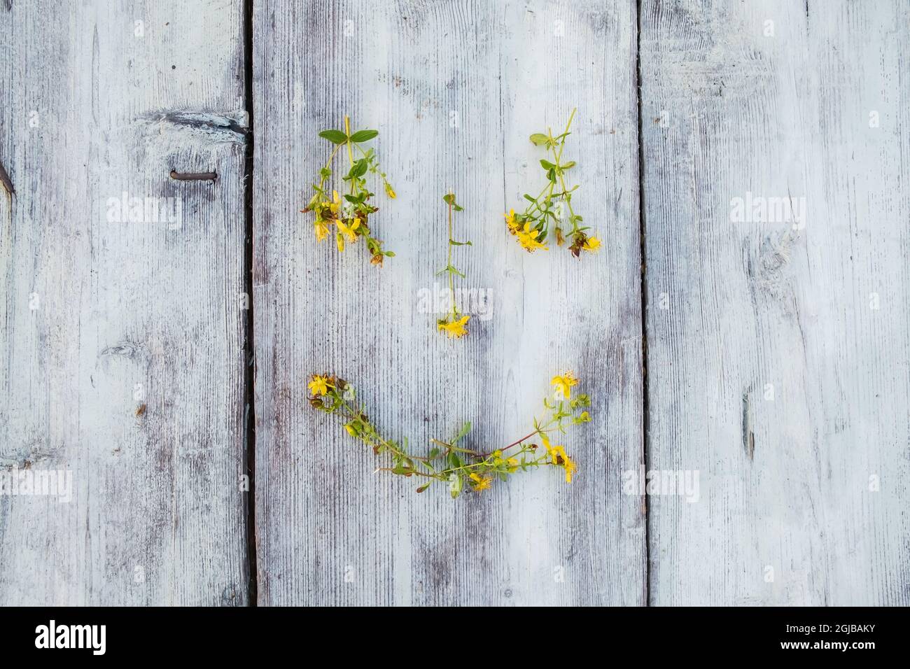 Tímido emoticon Banque de photographies et d’images à haute résolution ...