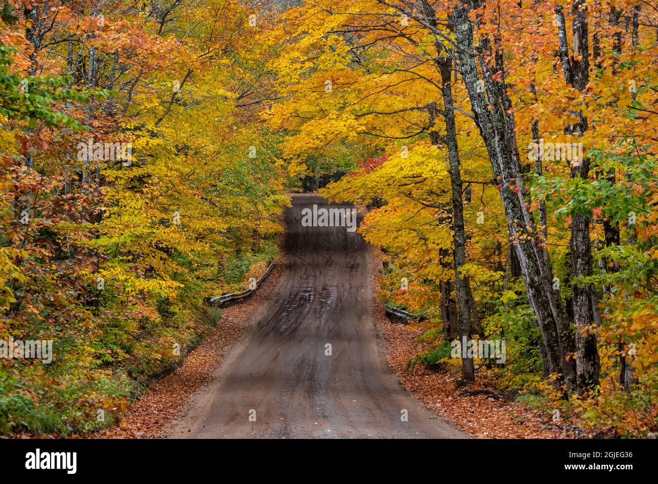 Route départementale 510 Banque de photographies et d’images à haute ...