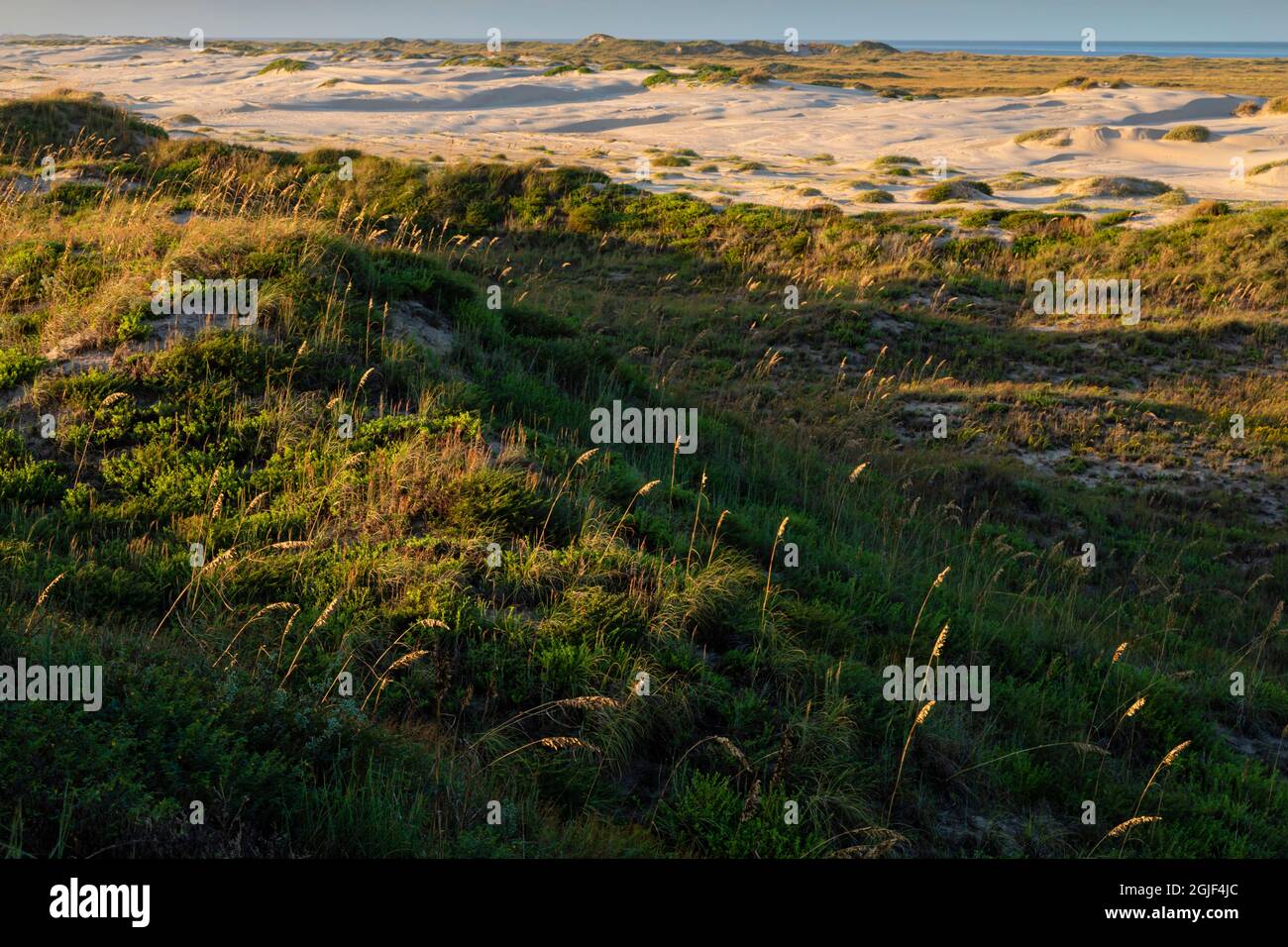 Dunes de sable stables Banque de photographies et d’images à haute ...