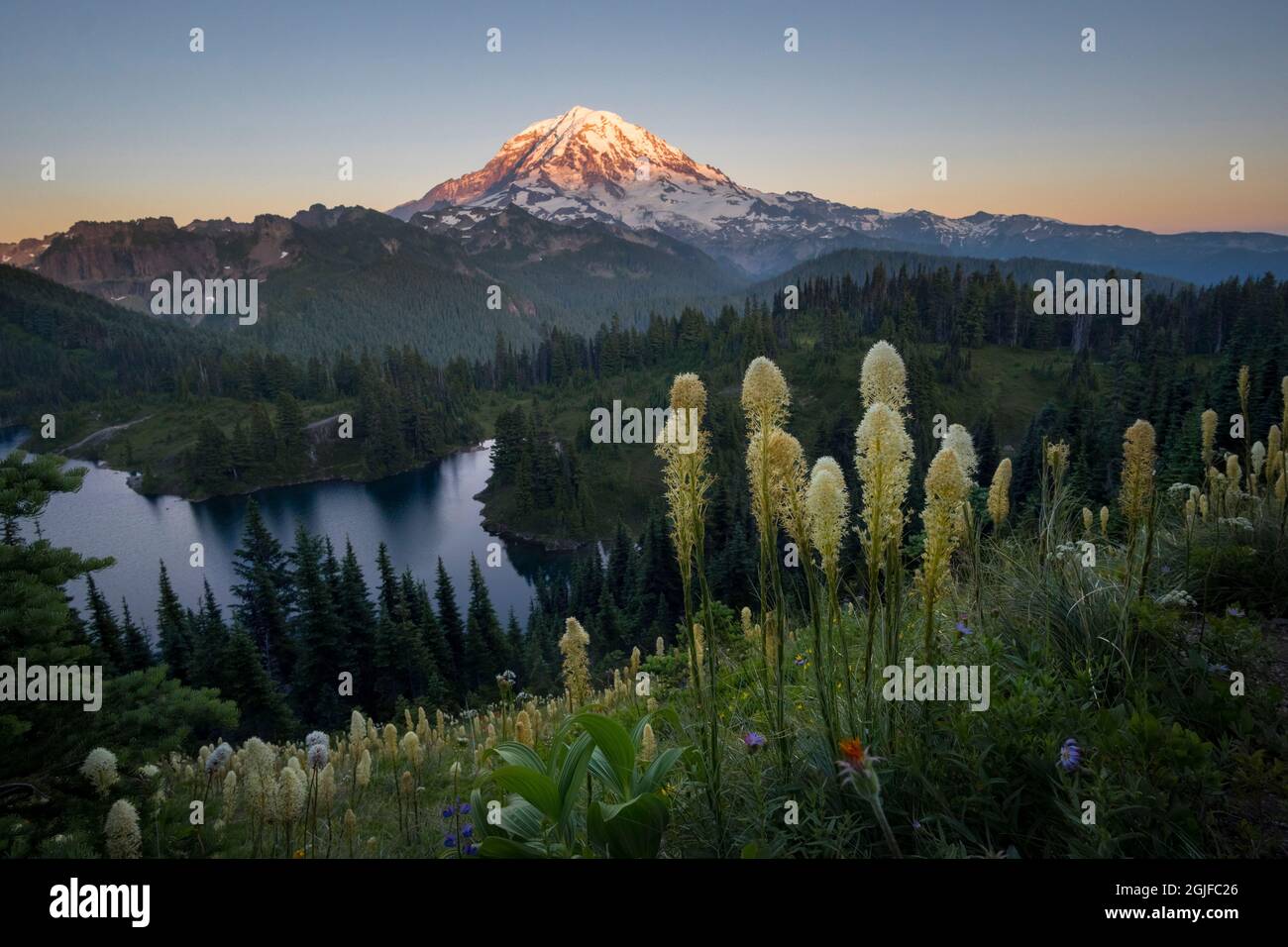 Tolmie state park Banque de photographies et d’images à haute ...
