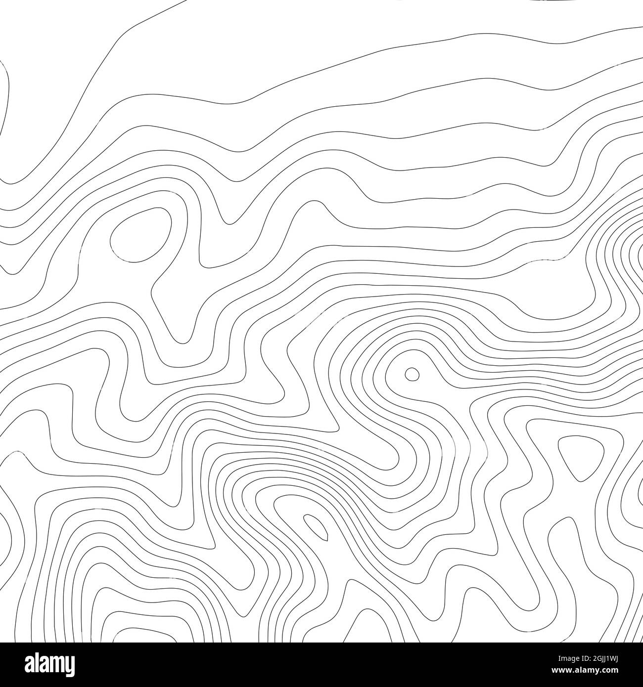 Modèle géographique. Carte topographique sur fond blanc. Lignes d ...
