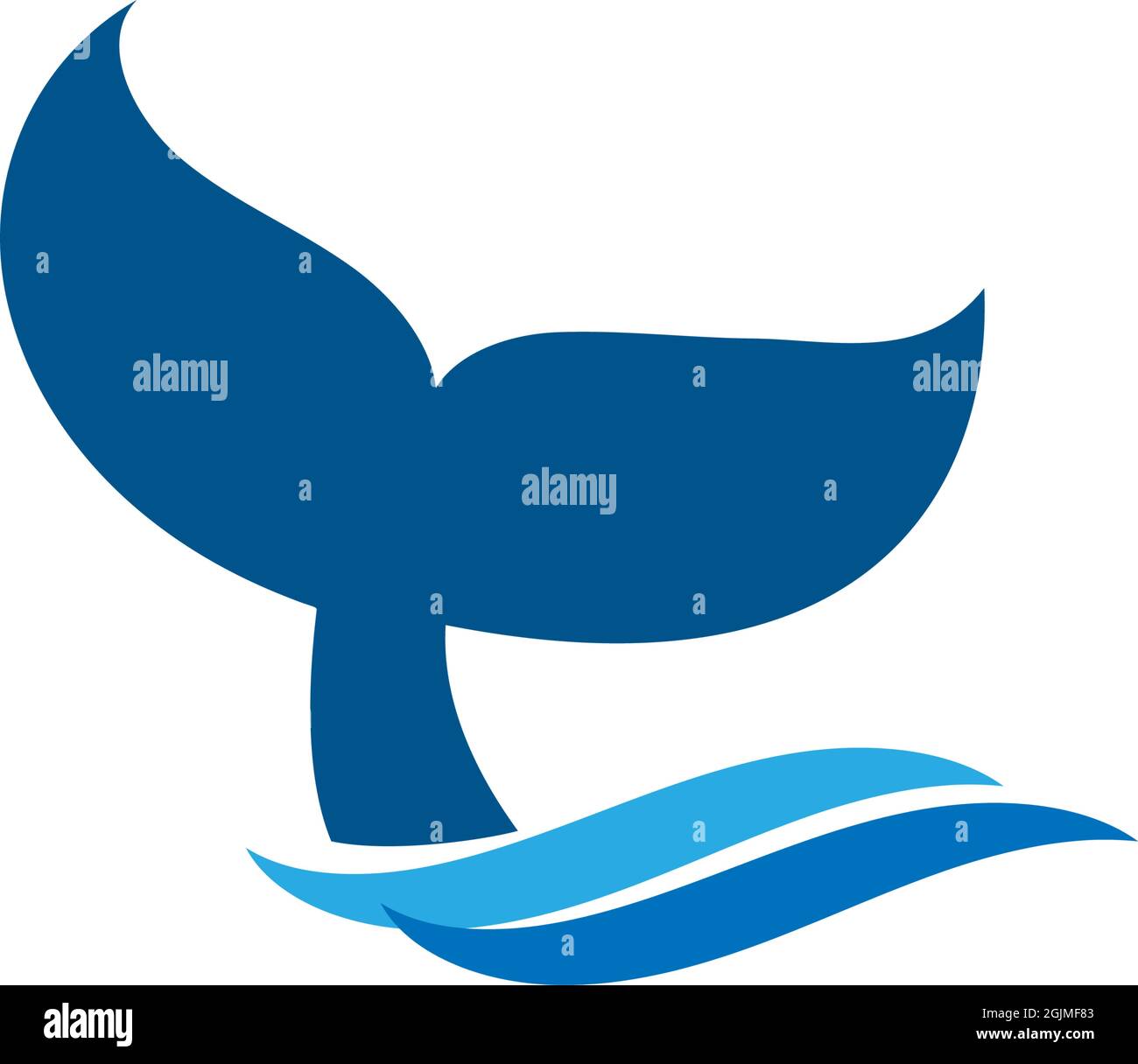Queue de baleine Banque d'images détourées - Alamy