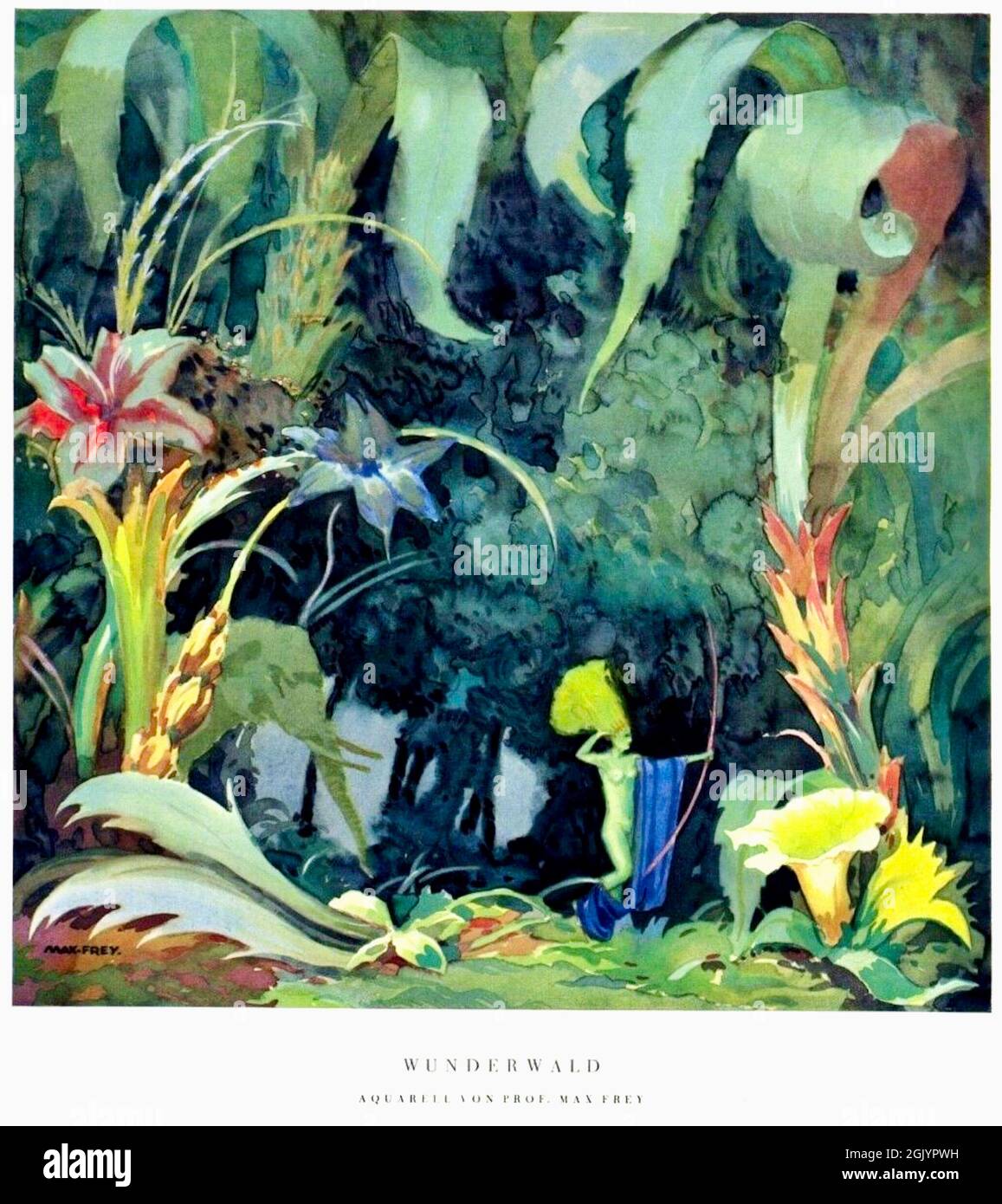 Max frey oeuvre d'art Banque de photographies et d’images à haute ...