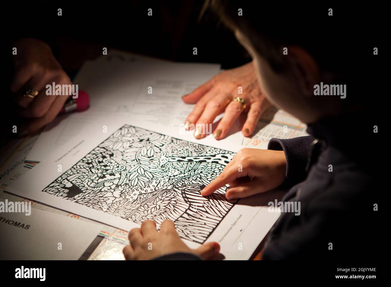 OrthOptics: Évaluation fonctionnelle avec test visuel de vitesse ...
