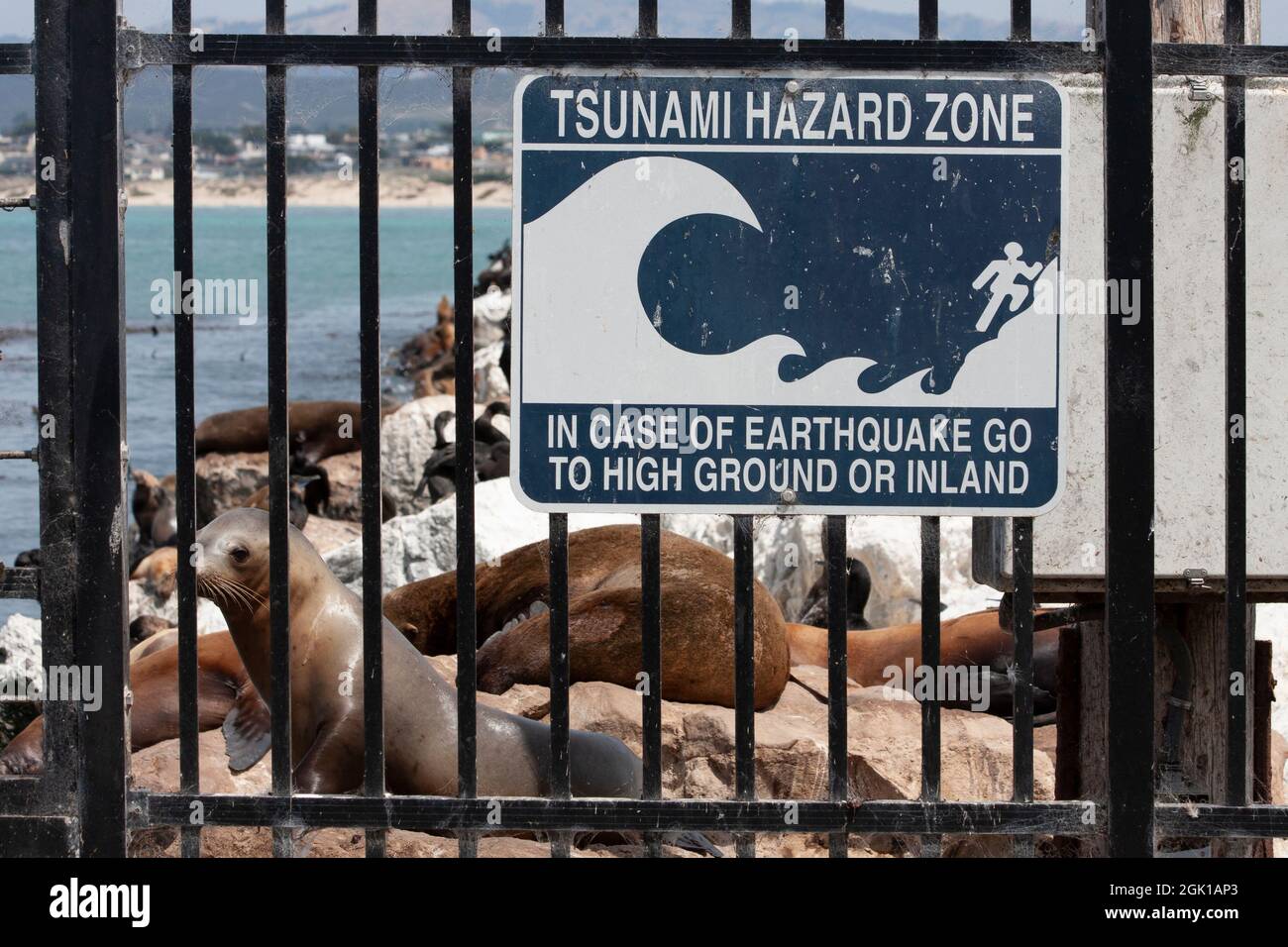 Barrière anti tsunami Banque de photographies et d’images à haute ...