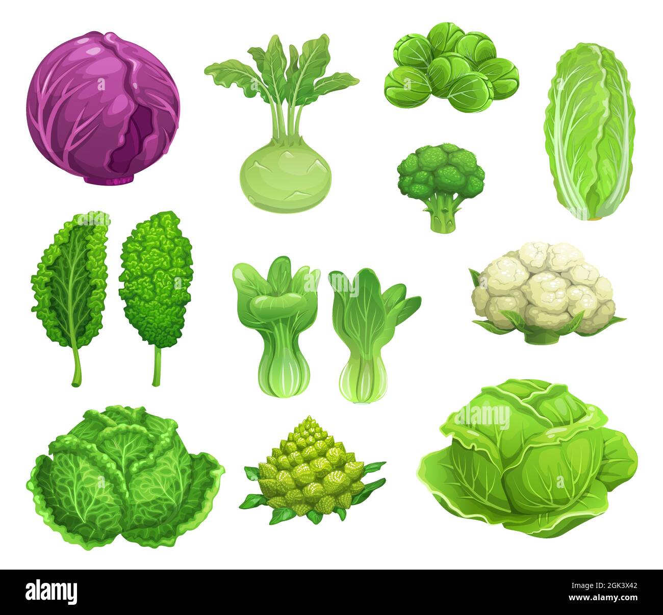 Dessins animés vecteur chou et légumes de chou-fleur, nourriture de ...