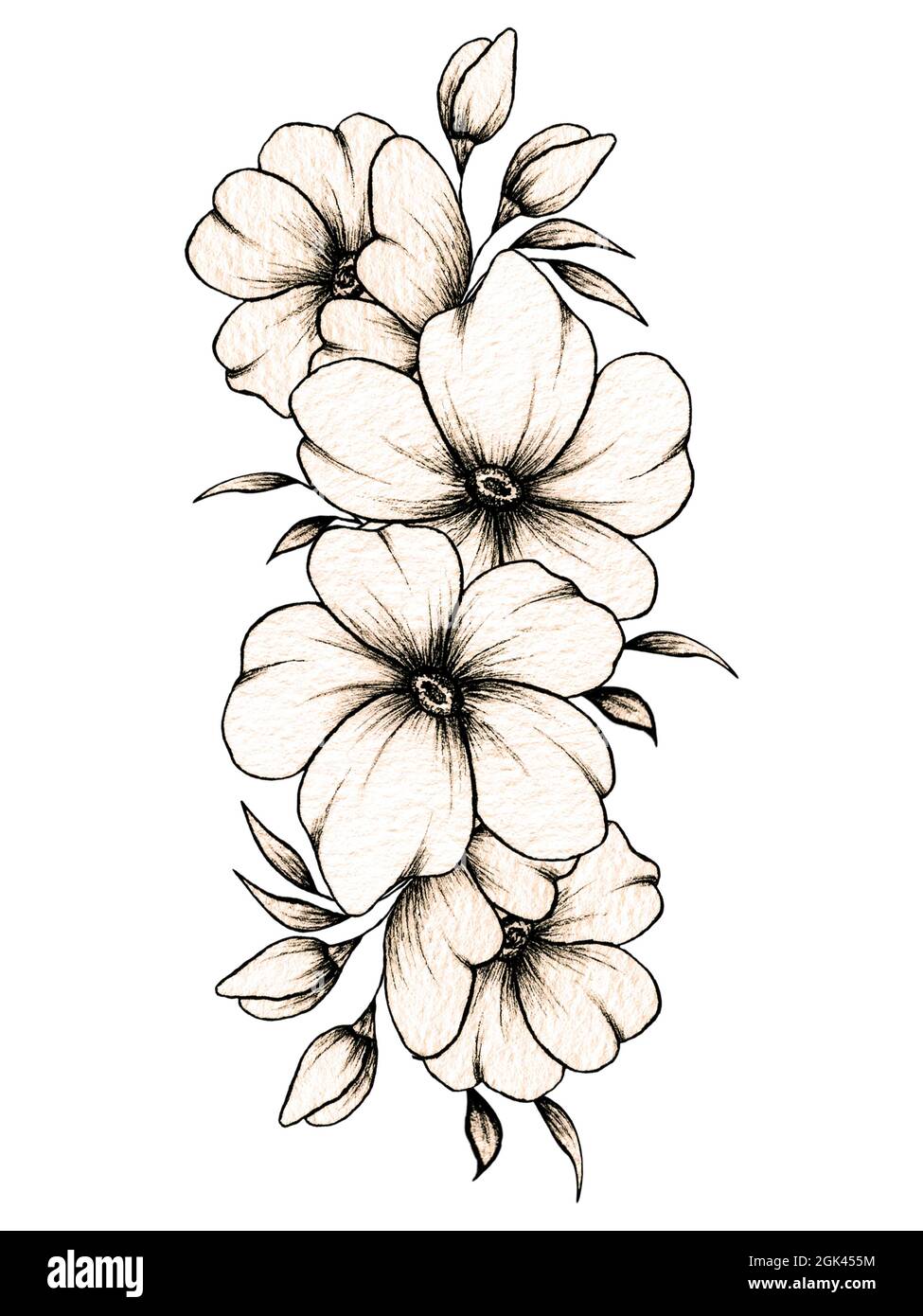 Dessin floral à la main Line art composé de diverses fleurs et feuilles ...