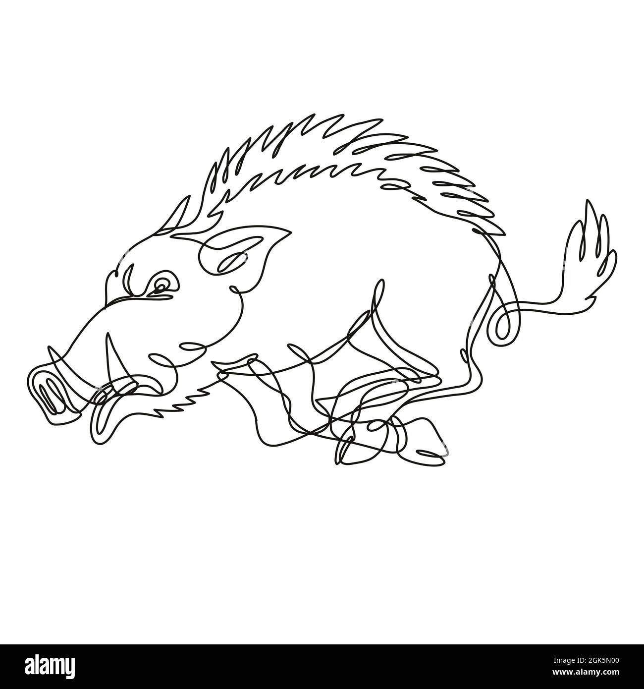 Razorback Wild Boar en train d'attaquer Side View Continuous Line ...