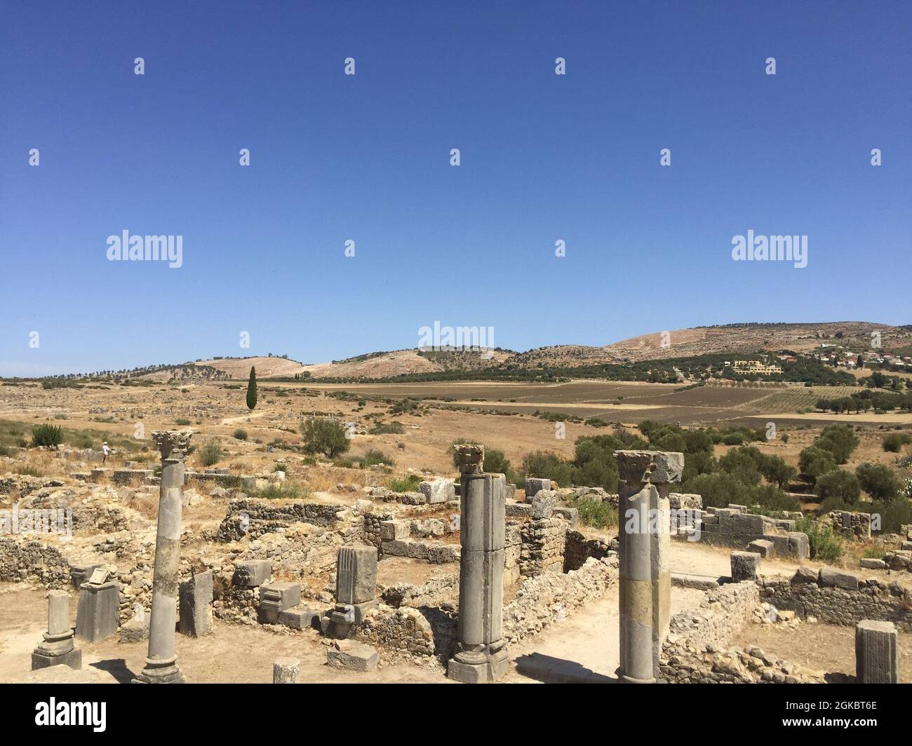 Archaeological site volubilis walili Banque de photographies et d ...