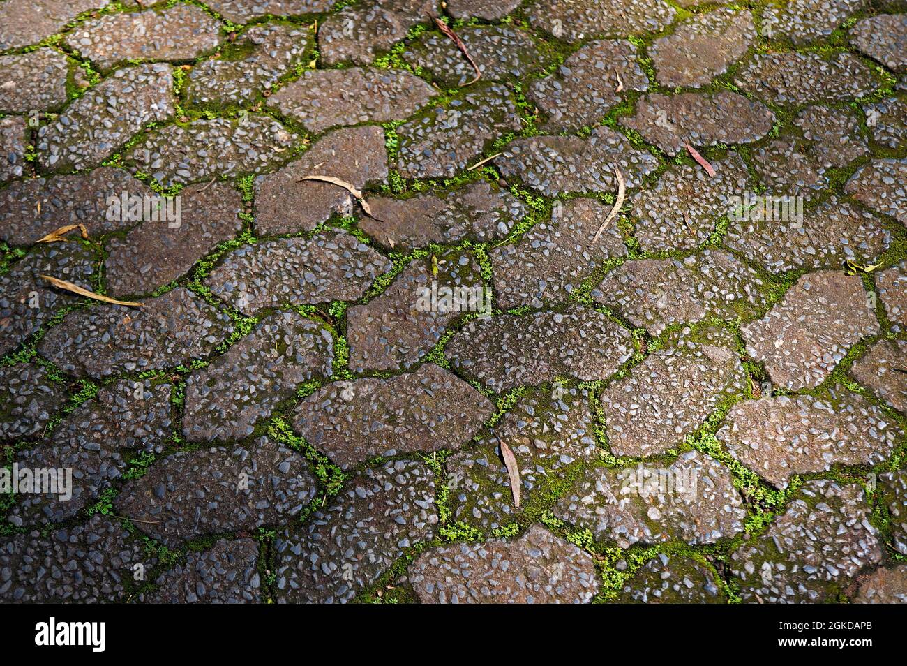 Briques de ciment Banque de photographies et d’images à haute ...