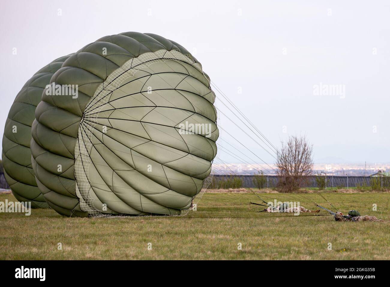 Army parachutist badge Banque d'image et photos - Alamy