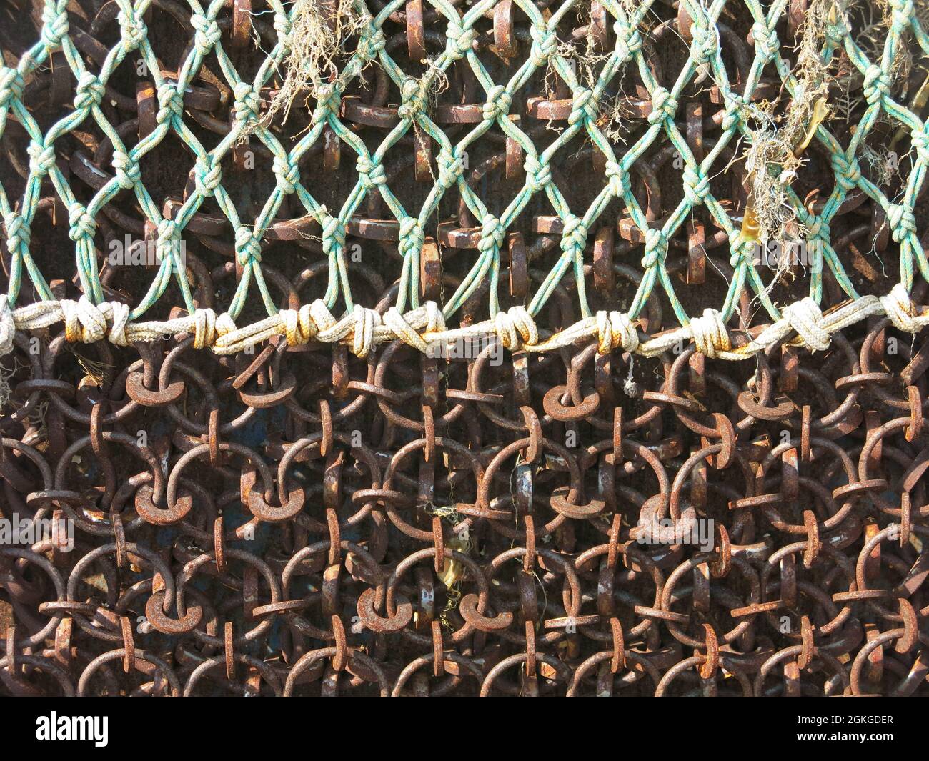 Knotty problem Banque de photographies et d’images à haute résolution ...