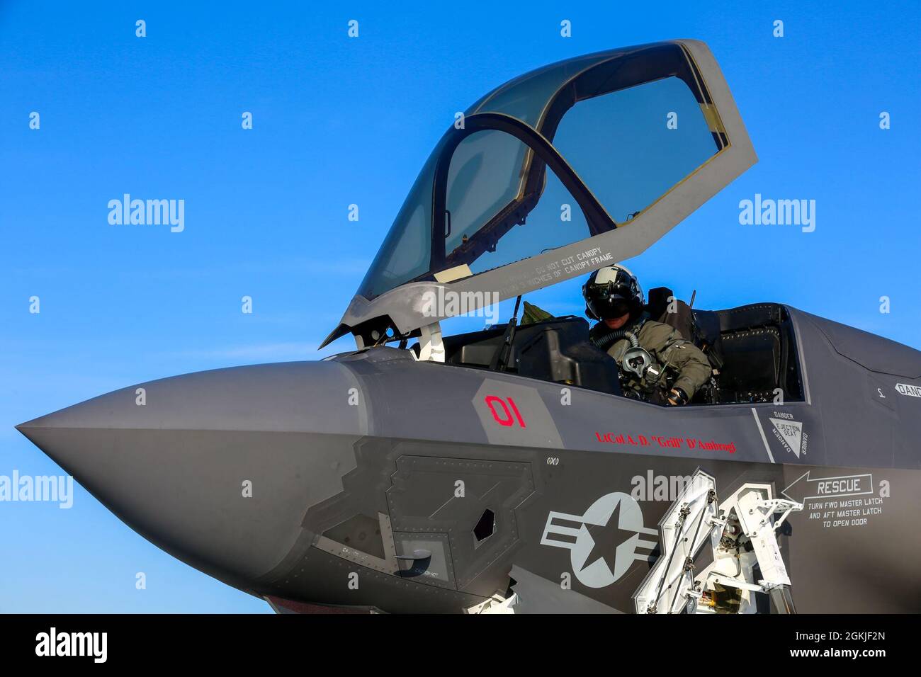 Le lieutenant-colonel Andrew d'Ambrogi, commandant du Marine Fighter ...