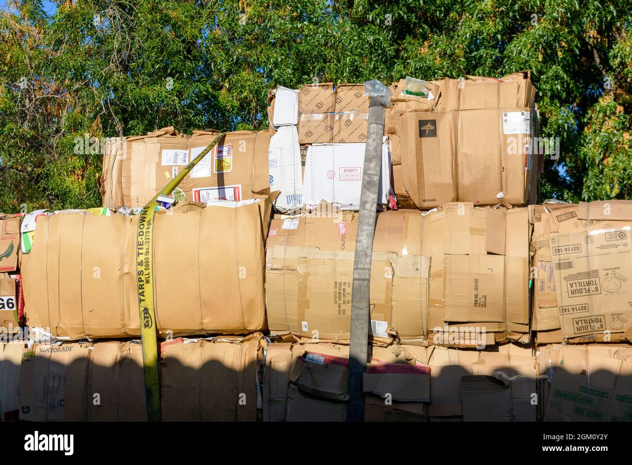 Cardboard bale Banque de photographies et d’images à haute résolution ...