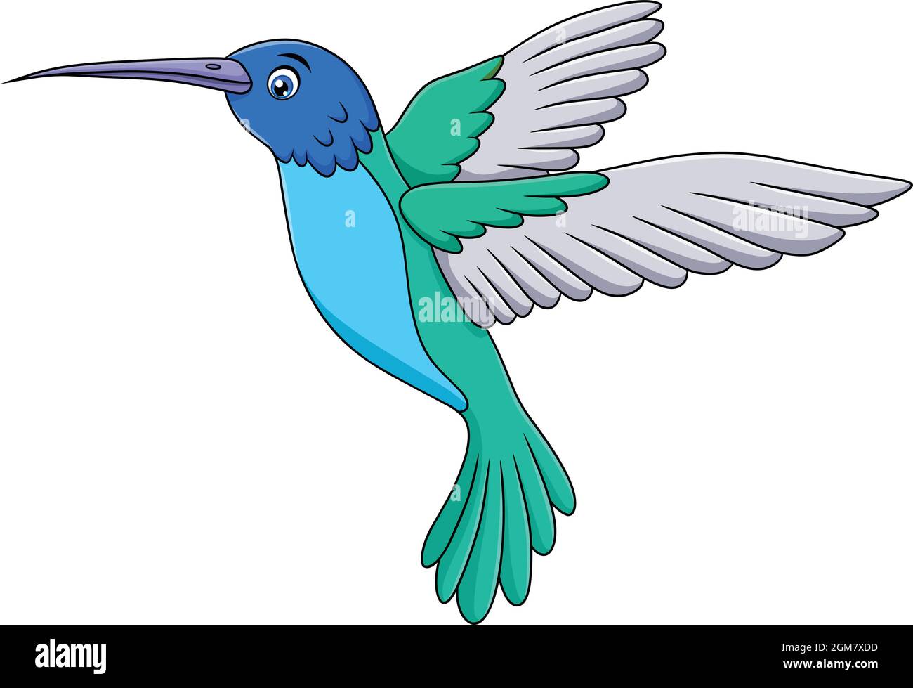 Illustration vectorielle de dessin animé de jolis colibris Image ...