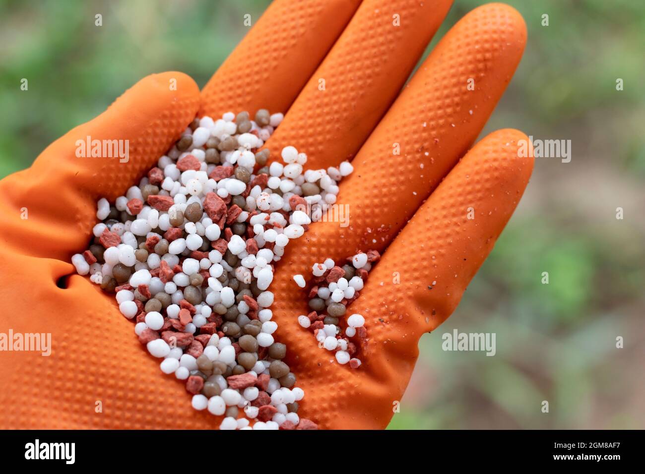 Engrais chimique Banque de photographies et d’images à haute résolution ...