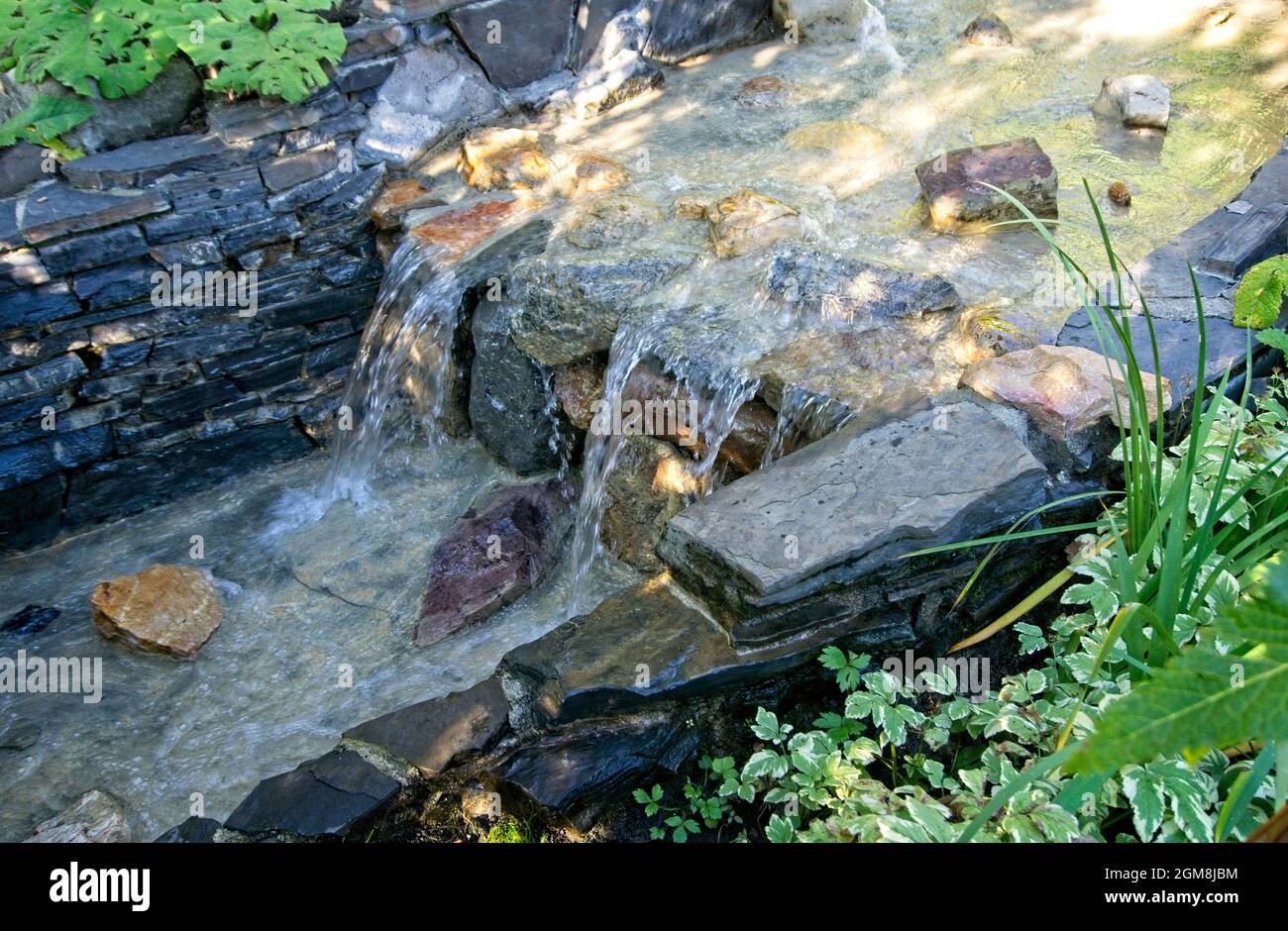Riley park Banque de photographies et d’images à haute résolution - Alamy