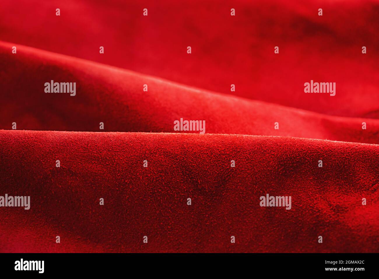 Daim rouge Banque de photographies et d’images à haute résolution - Alamy