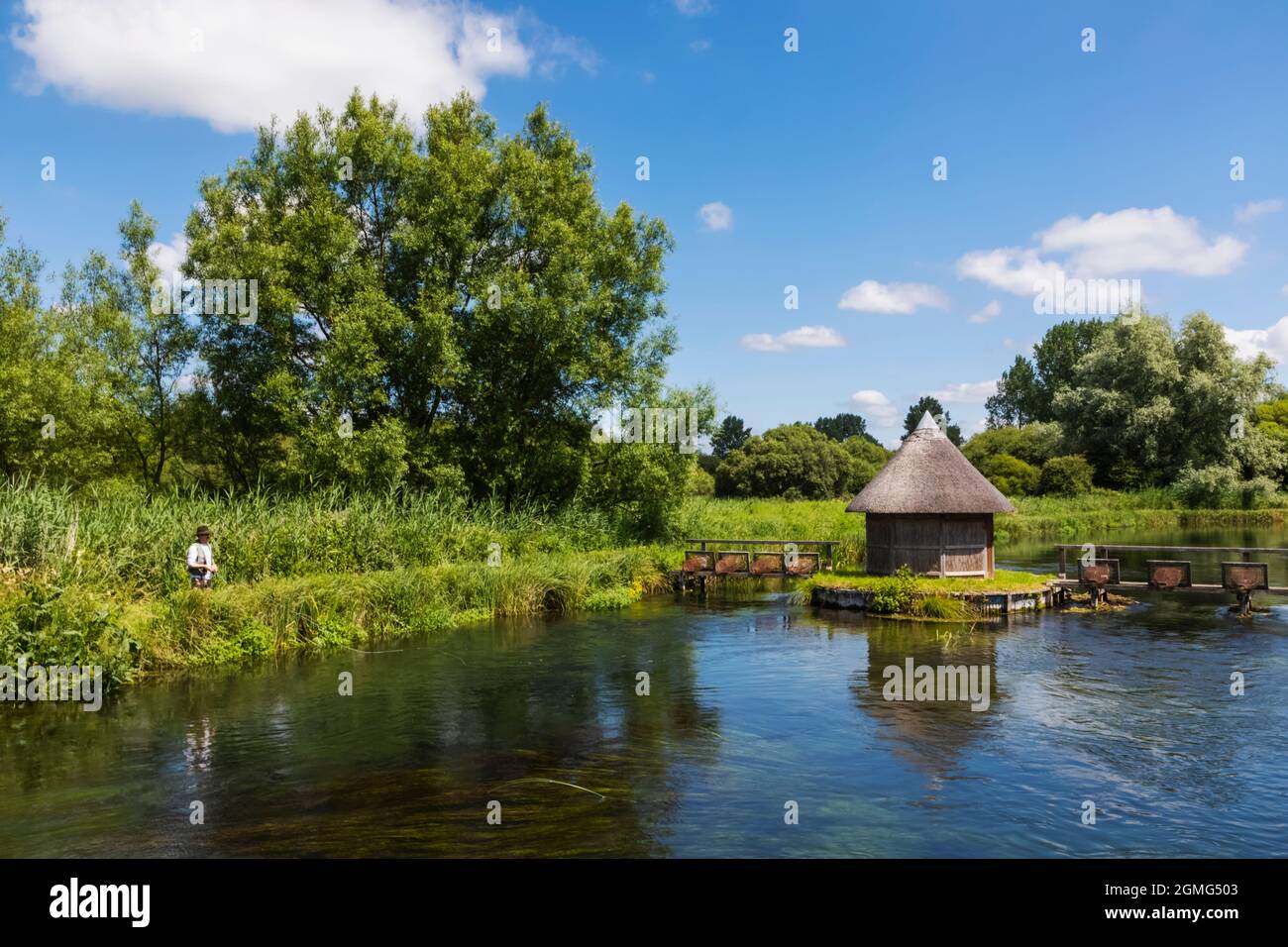 Angleterre, Hampshire, Test Valley, Stockbridge, Longstock, Domaine de ...