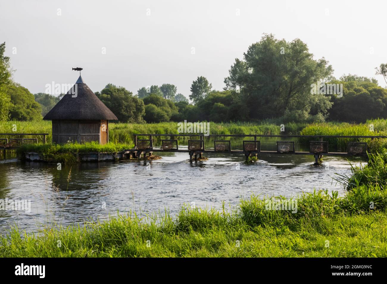 Angleterre, Hampshire, Test Valley, Stockbridge, Longstock, Domaine de ...