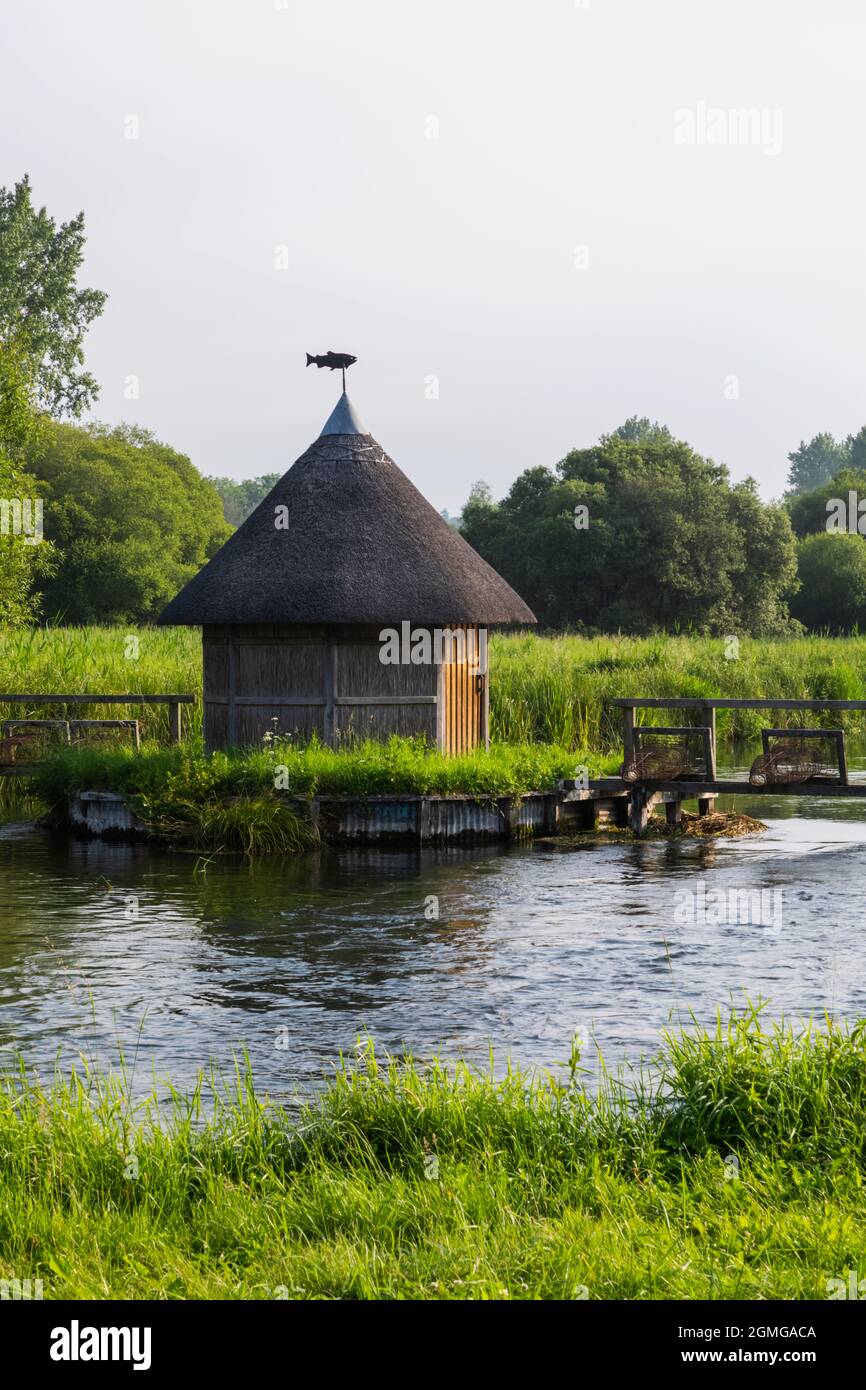 Angleterre, Hampshire, Test Valley, Stockbridge, Longstock, Domaine de ...