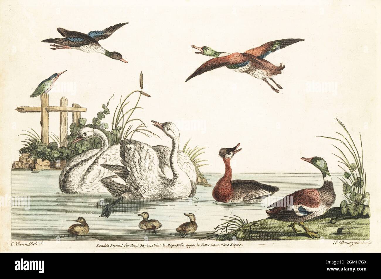 Charles fenn Banque de photographies et d’images à haute résolution - Alamy