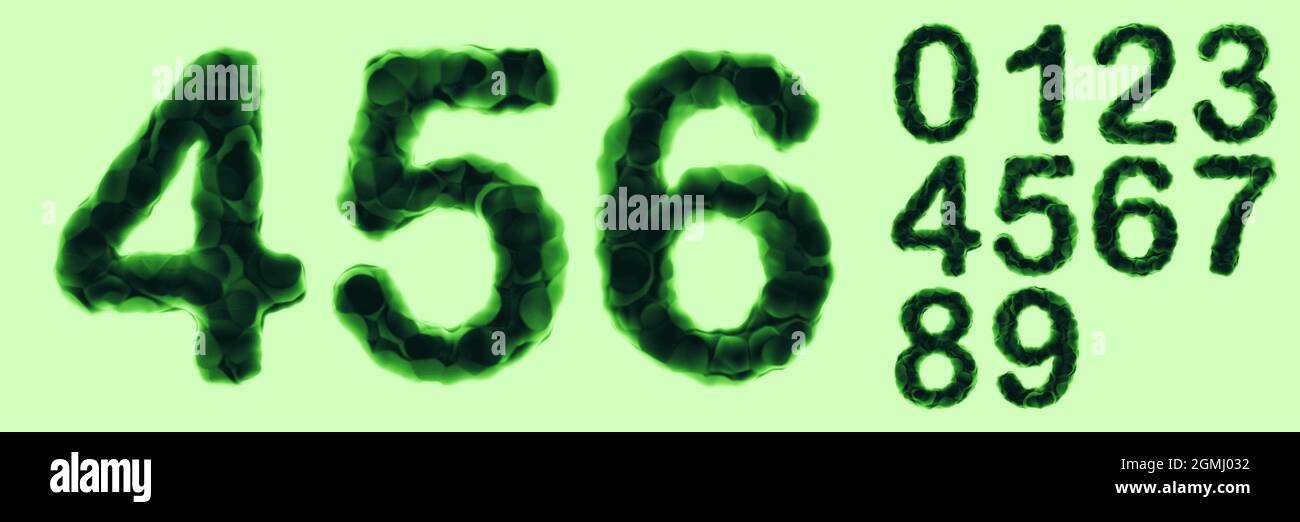 Plante microscopique Banque d'images vectorielles - Alamy